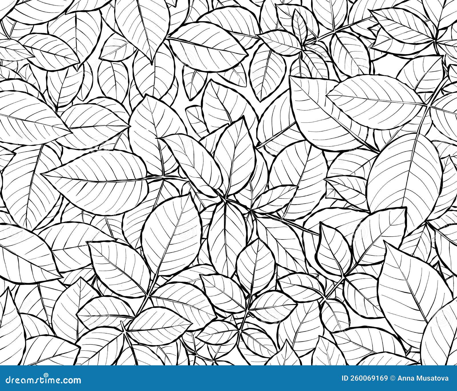 Seamless Pattern. Rose Leaves. Black and White Realistic Graphics ...