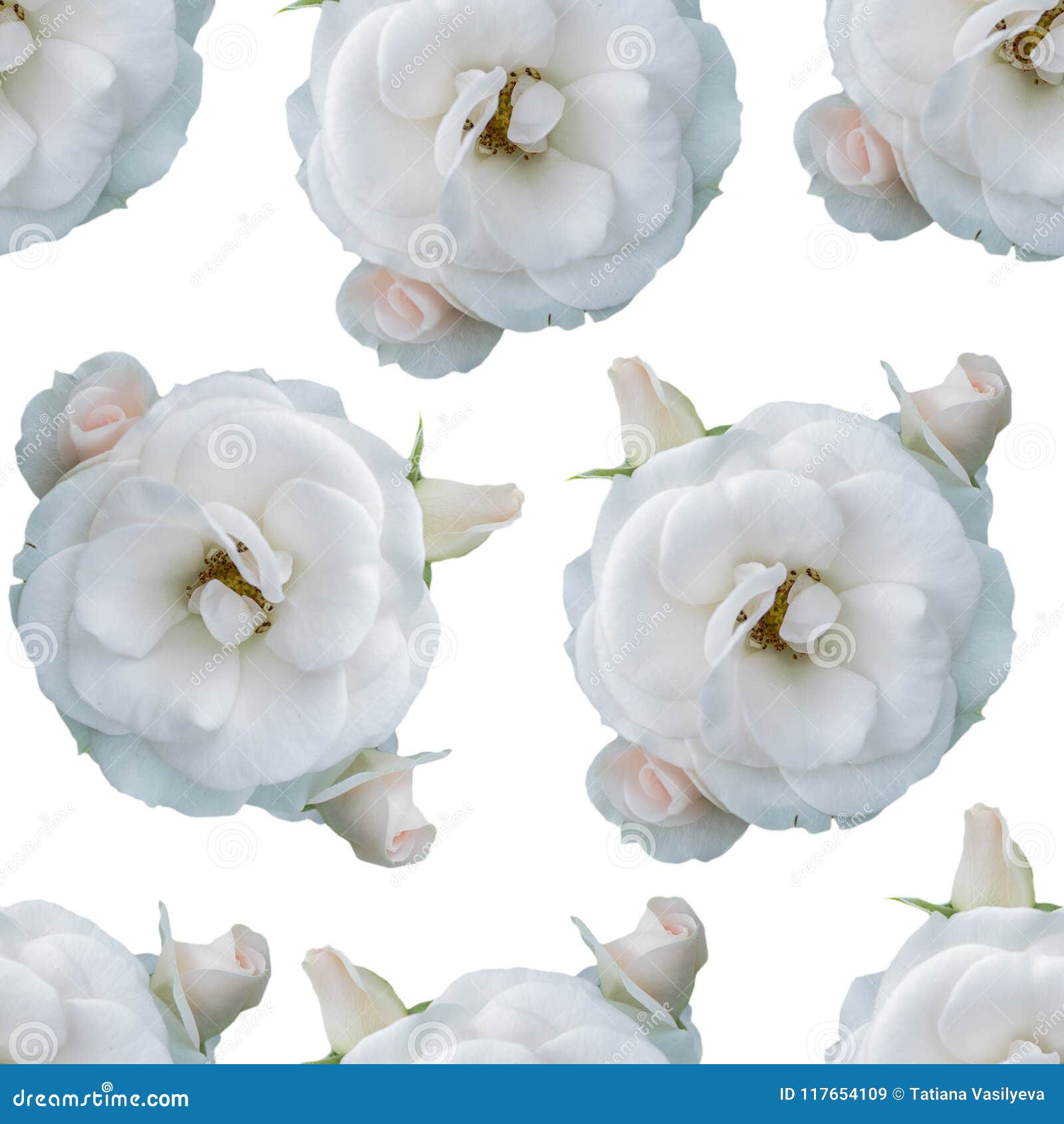 Seamless Pattern with Roses Stock Image - Image of edge, garland: 117654109