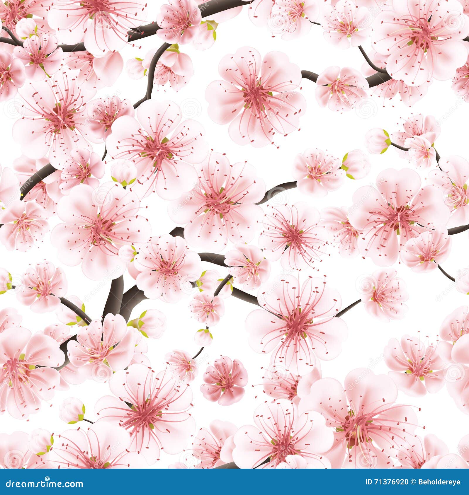 Seamless Pattern with Sakura. EPS 10 Stock Vector - Illustration of ...