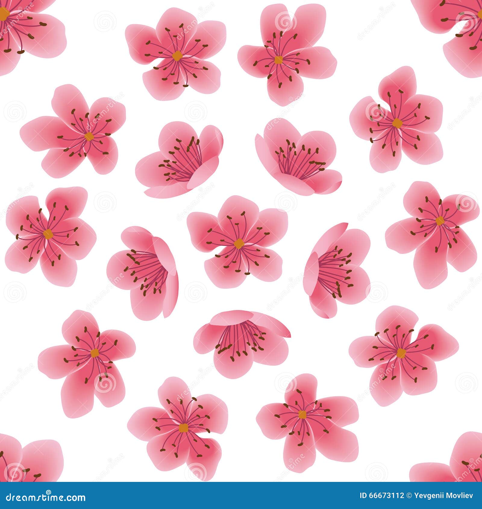 Seamless Pattern with Sakura Flowers Stock Illustration - Illustration ...