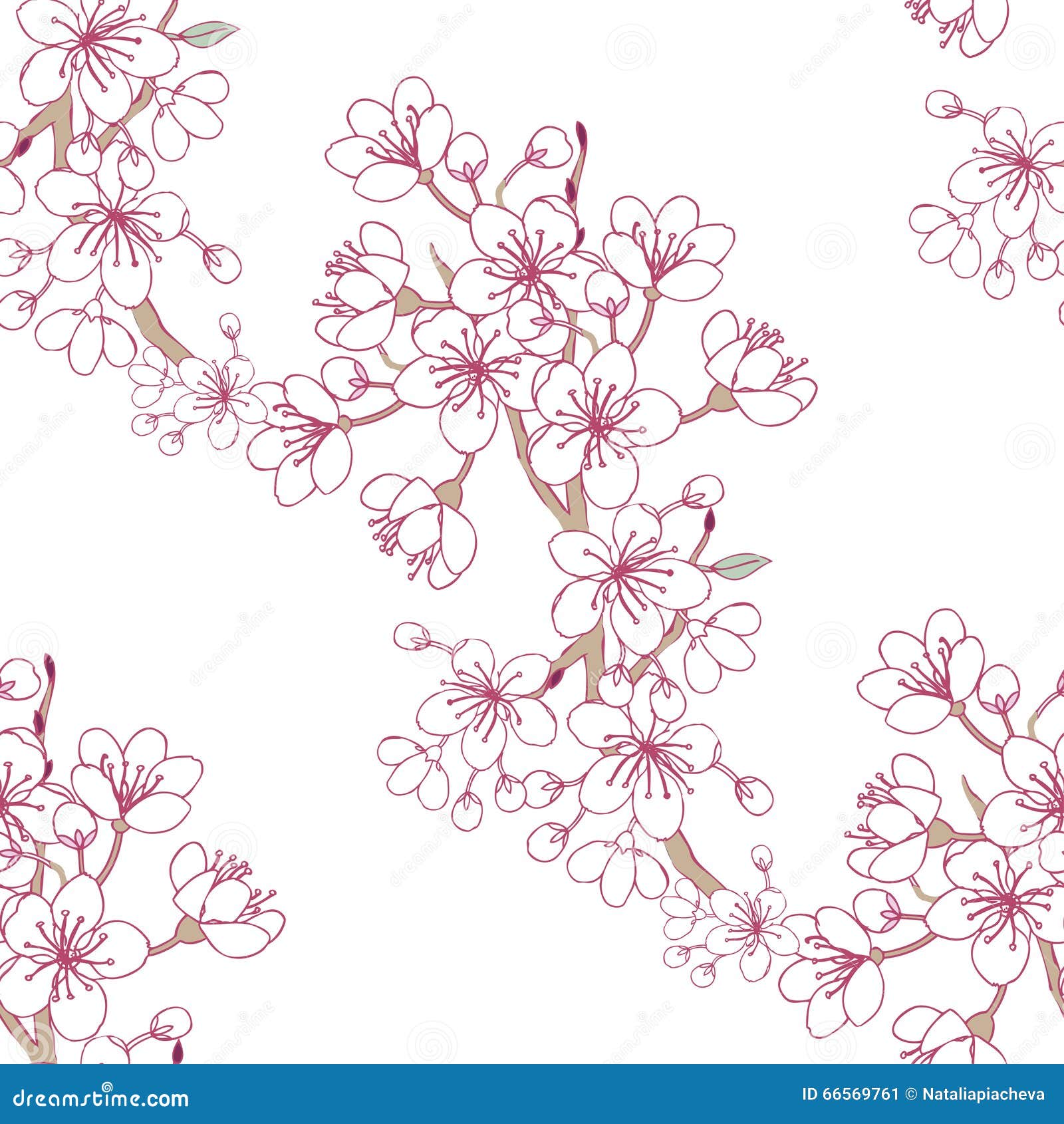 Seamless Pattern Sakura stock vector. Illustration of plant - 66569761