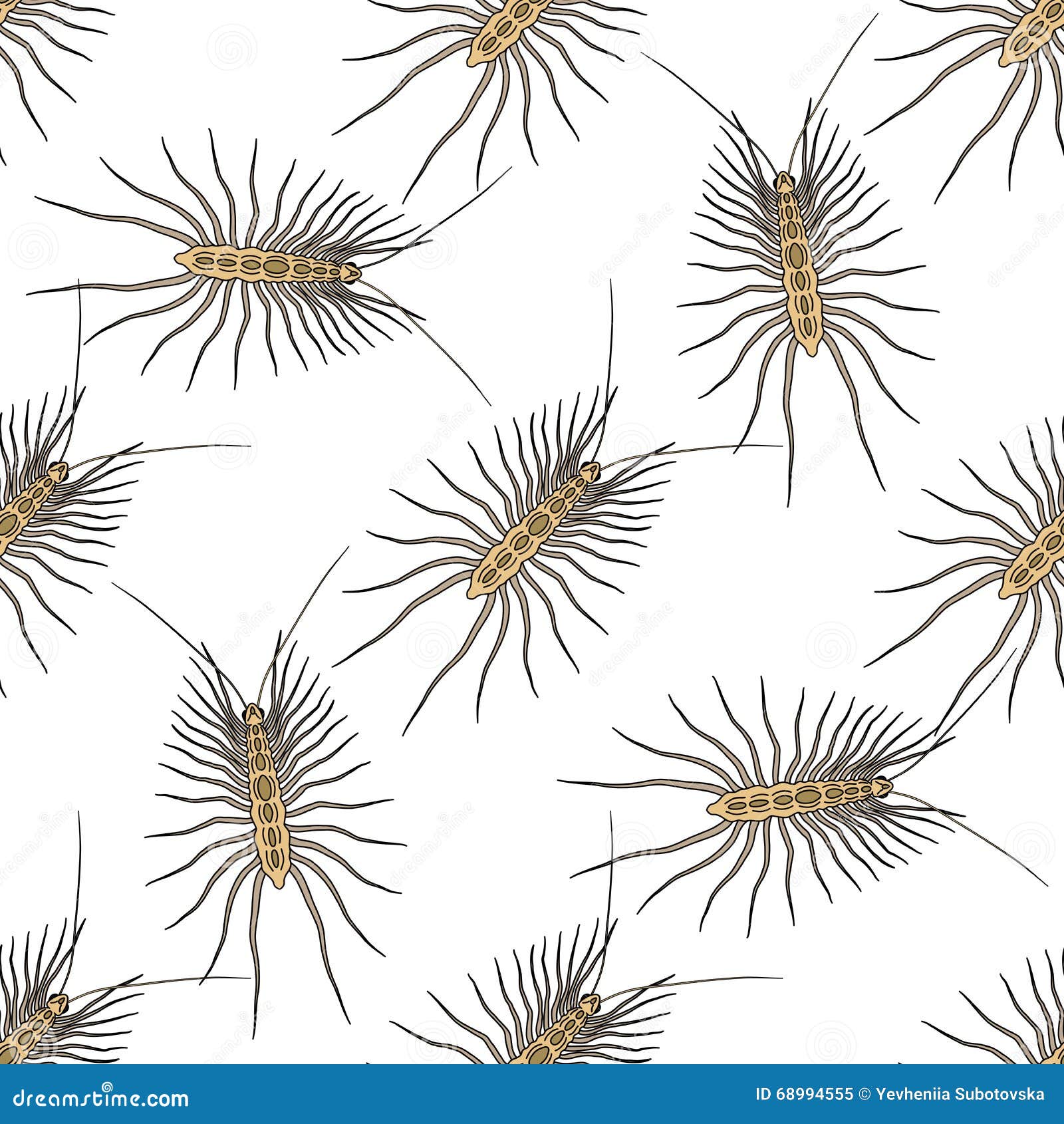Seamless Pattern with Scutigera Coleoptrata. Millipede. Hand-drawn ...