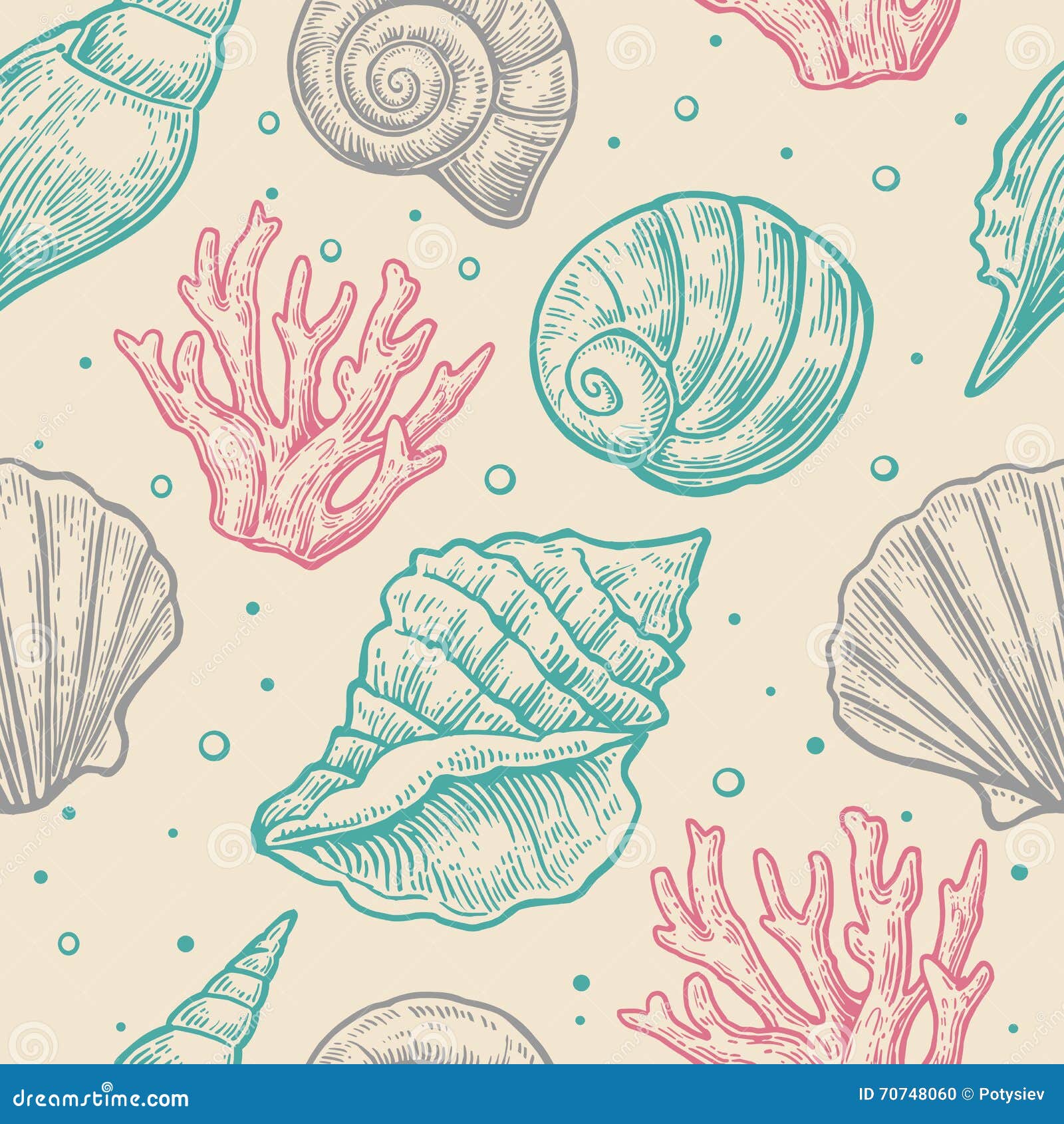 225 Shell, Vector Illustration, Isolate On Gray Background ...
