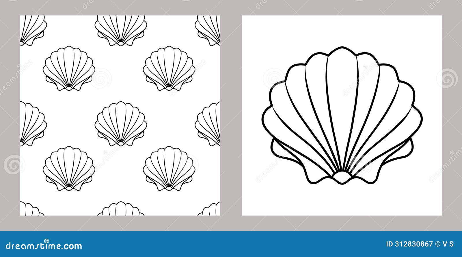 Seamless Pattern of Sea Shells. Black Outline of Seashells on a White ...