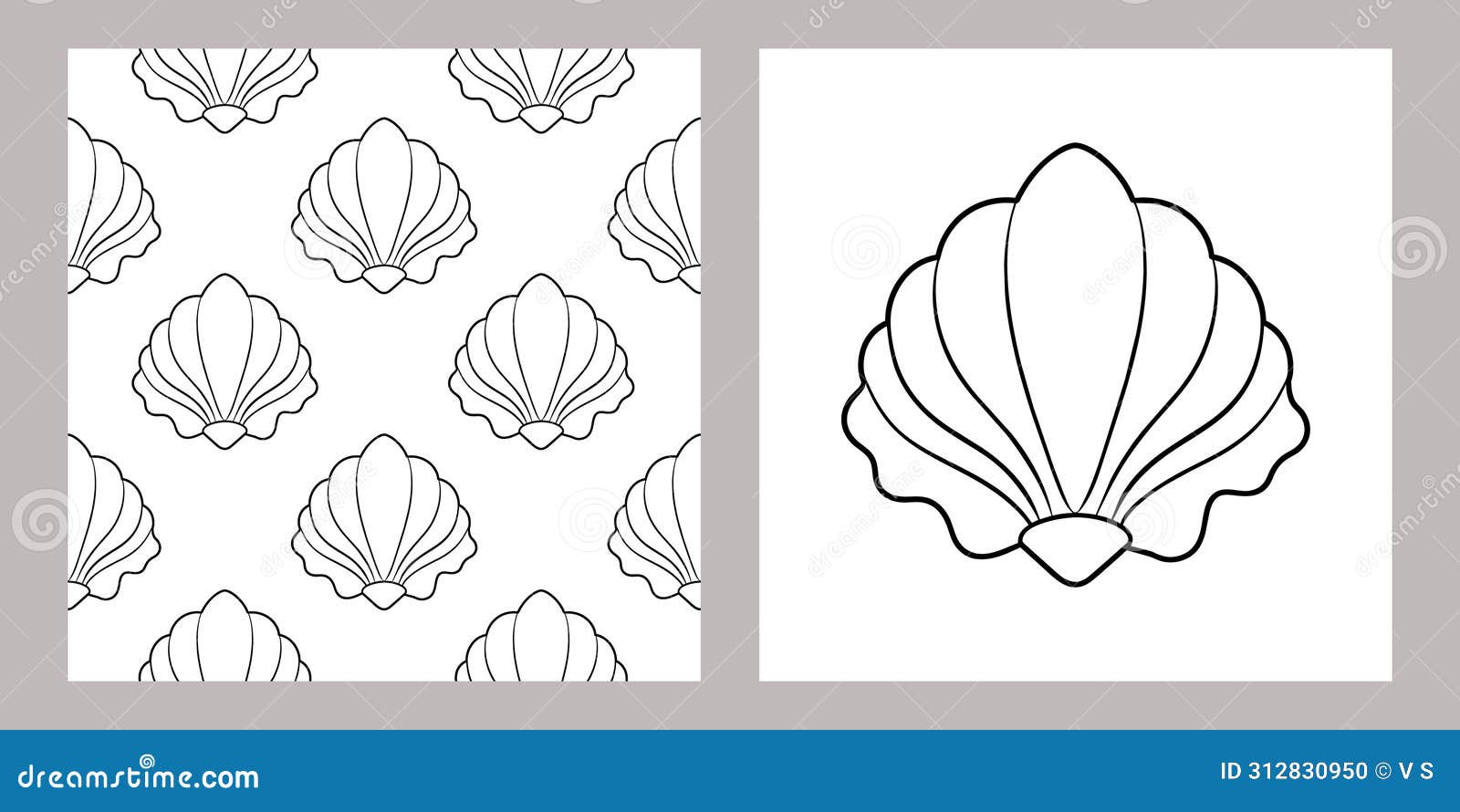 Seamless Pattern of Sea Shells. Black Outline of Seashells on a White ...