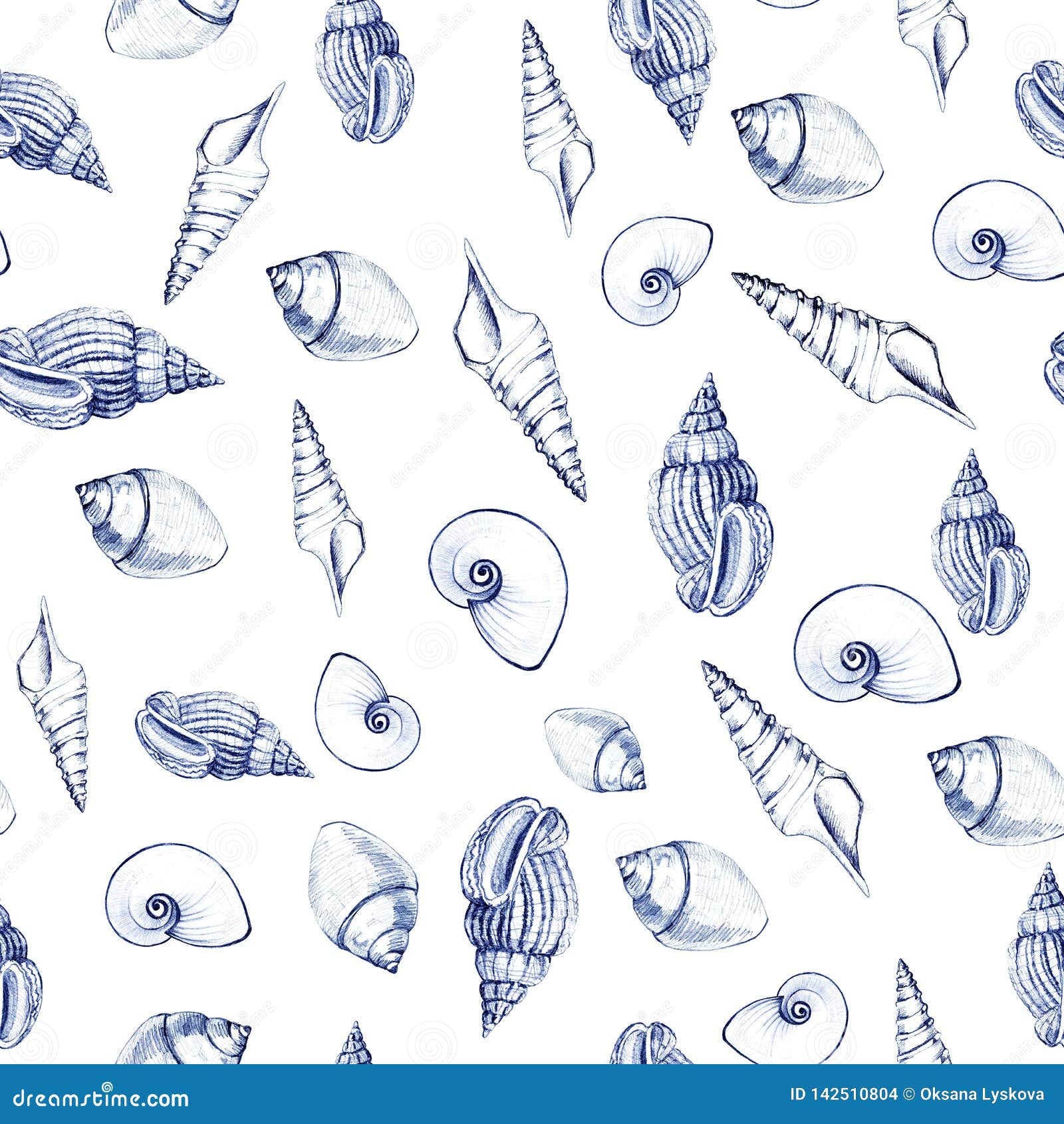 Seamless Pattern of Sea Shells. Manual Graphics. Design for Backgrounds ...