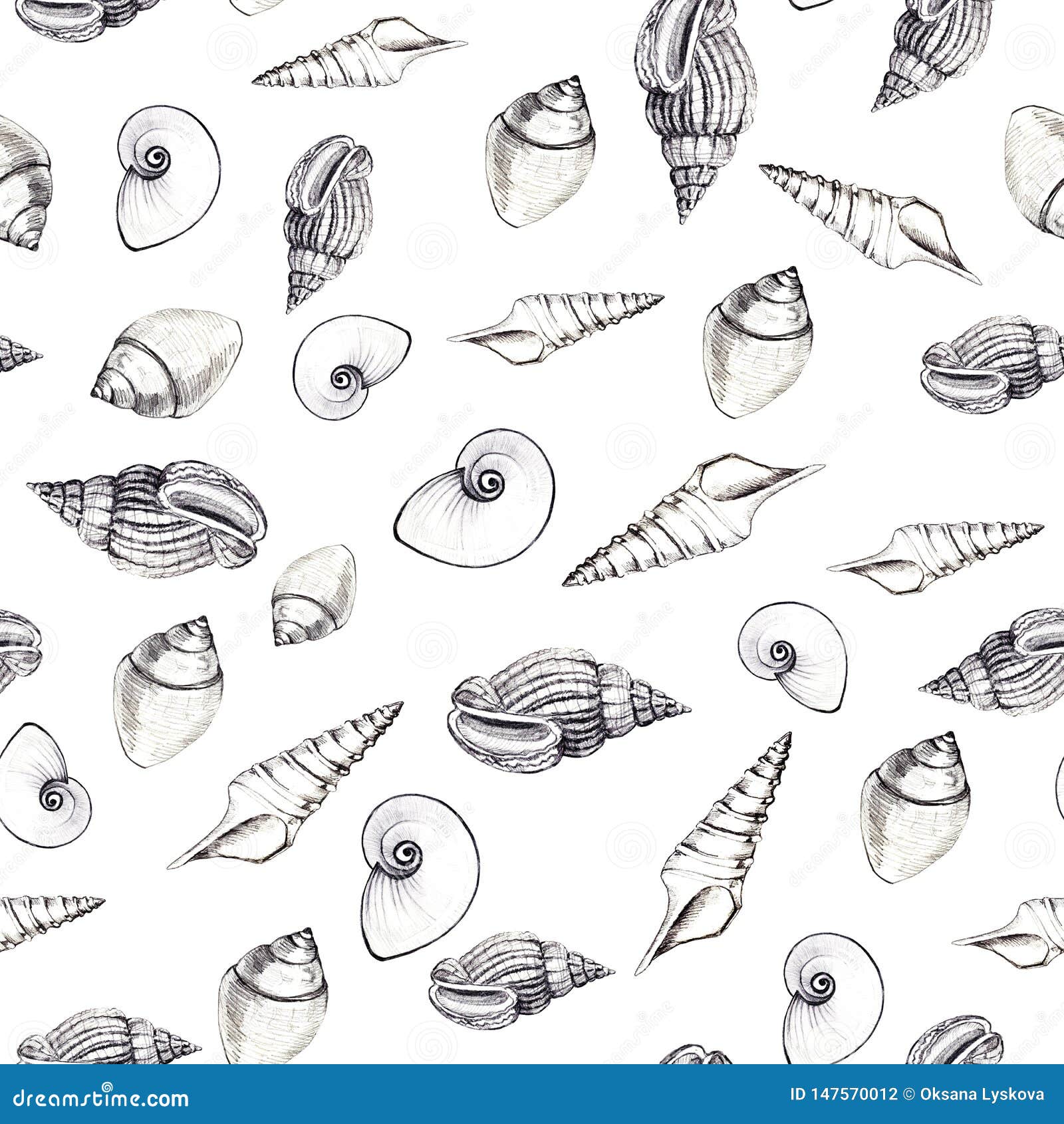 Seamless Pattern of Sea Shells on White Background. Manual Graphics ...