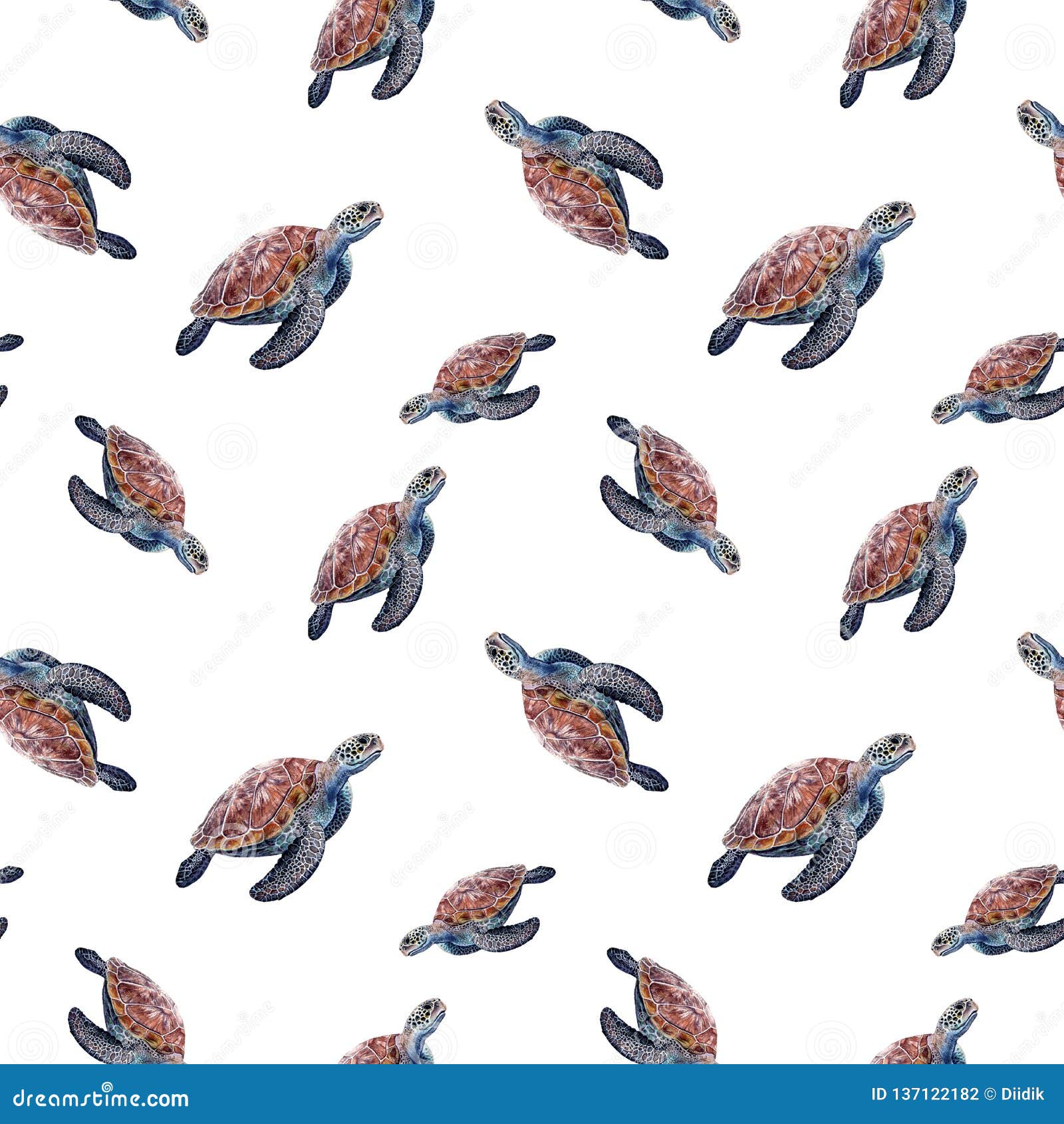 Watercolor Hand Drawn Sea Turtle Isolated Seamless Pattern. Stock ...