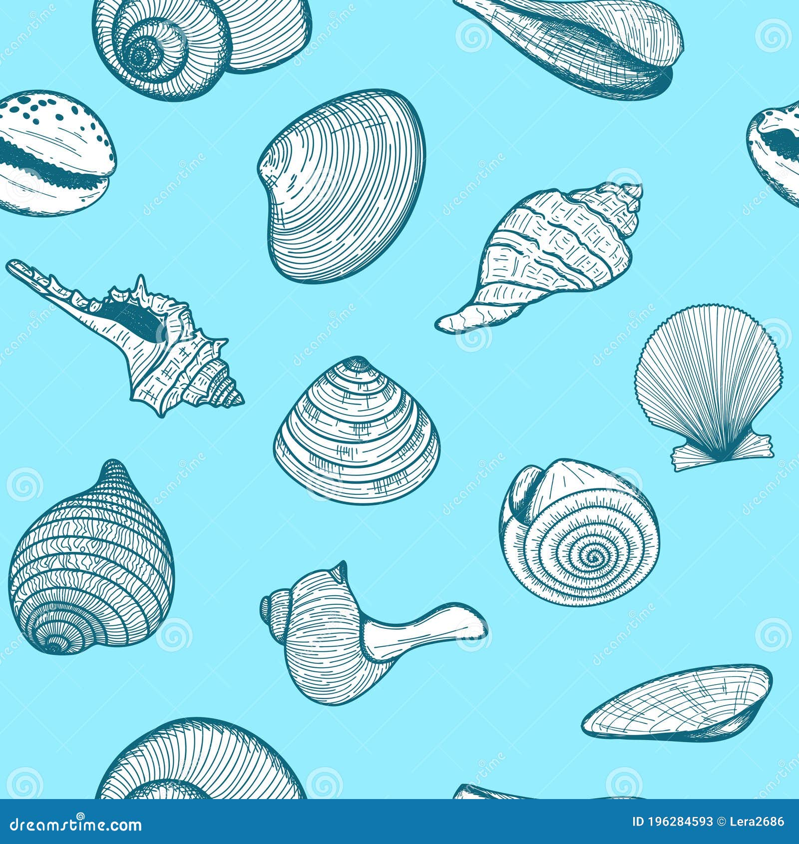 Seamless Pattern of Seashells. Collection of Round and Spiral Shells in ...