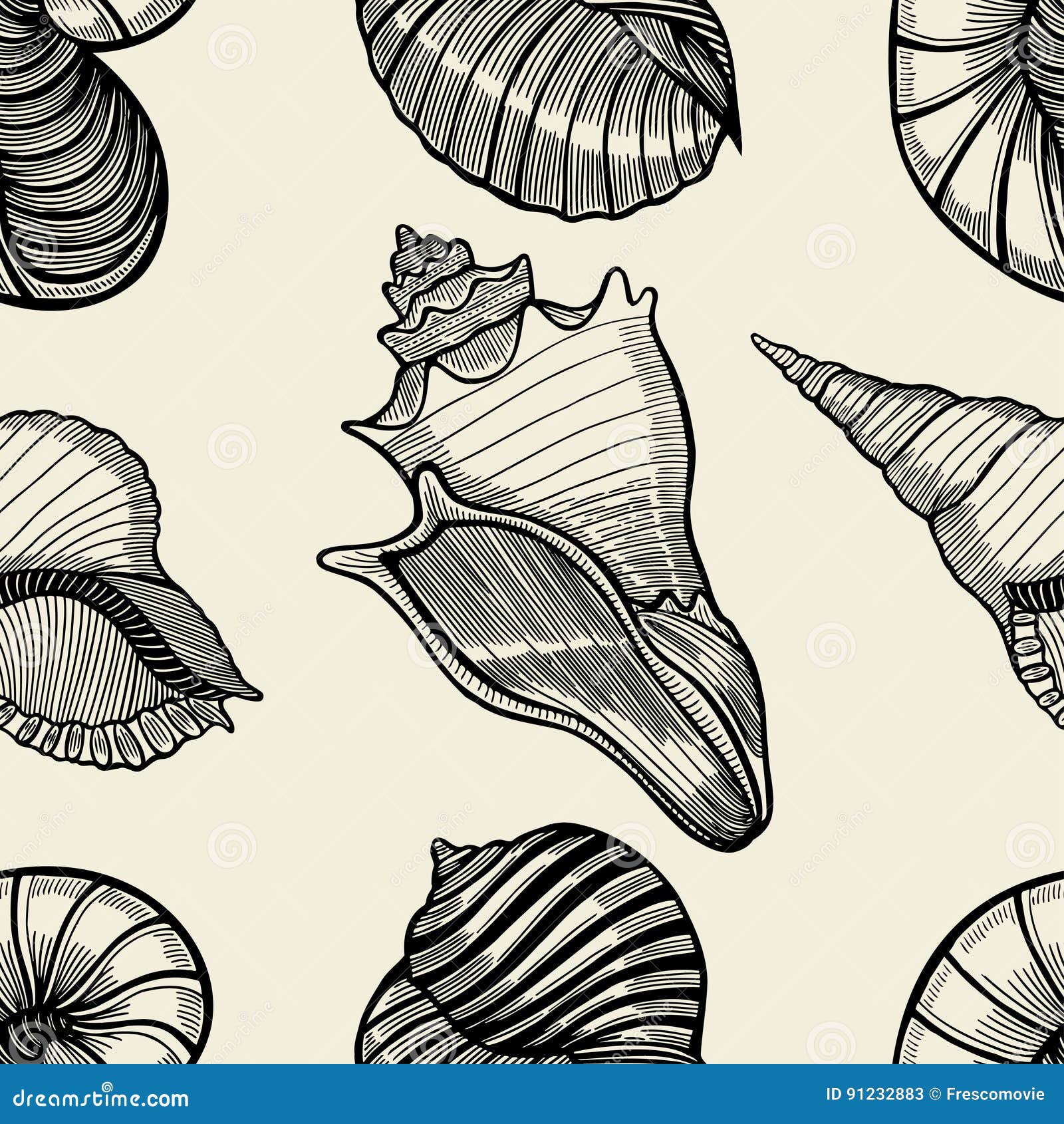 Seamless Pattern of Seashells. Stock Vector - Illustration of isolated ...