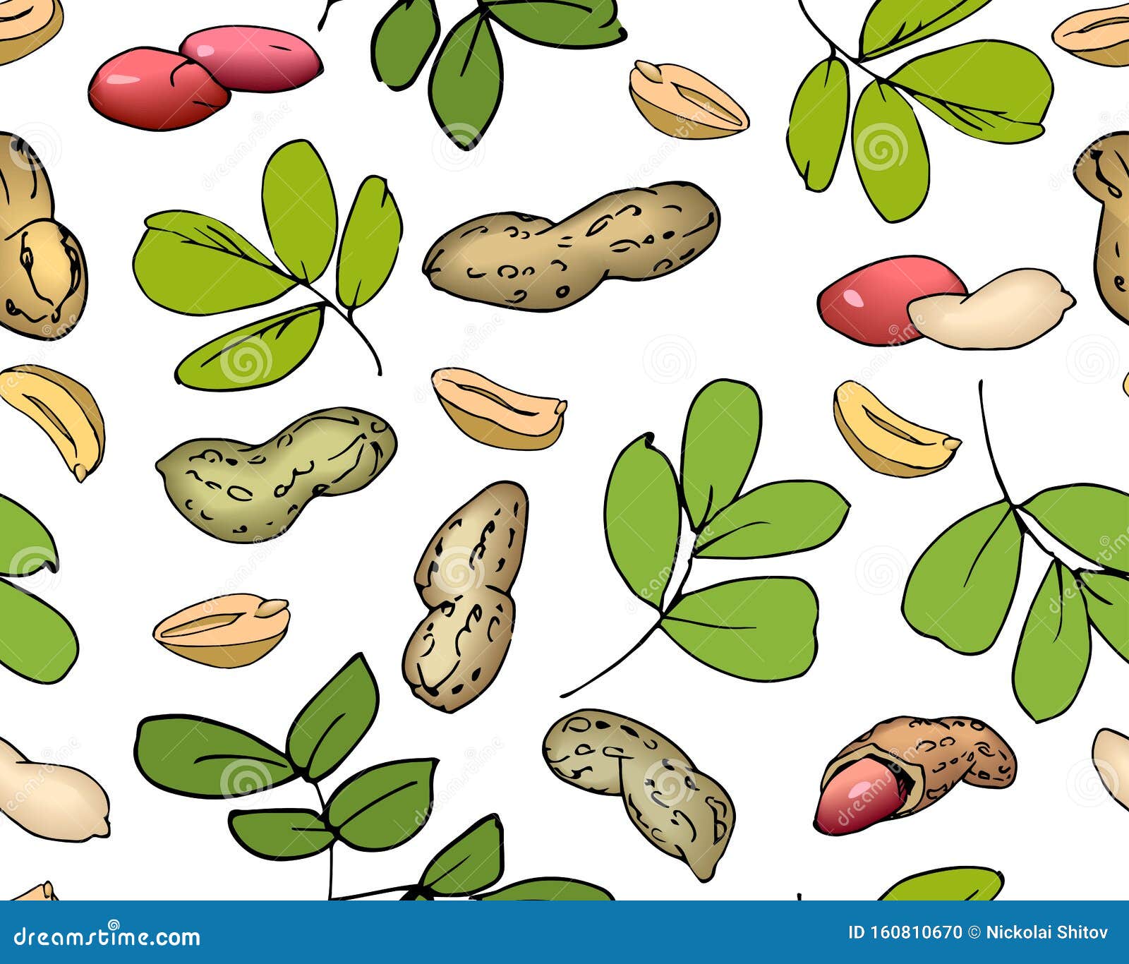 Seamless Pattern of a Set of Peanuts with Leaves, Kernels Stock Vector ...