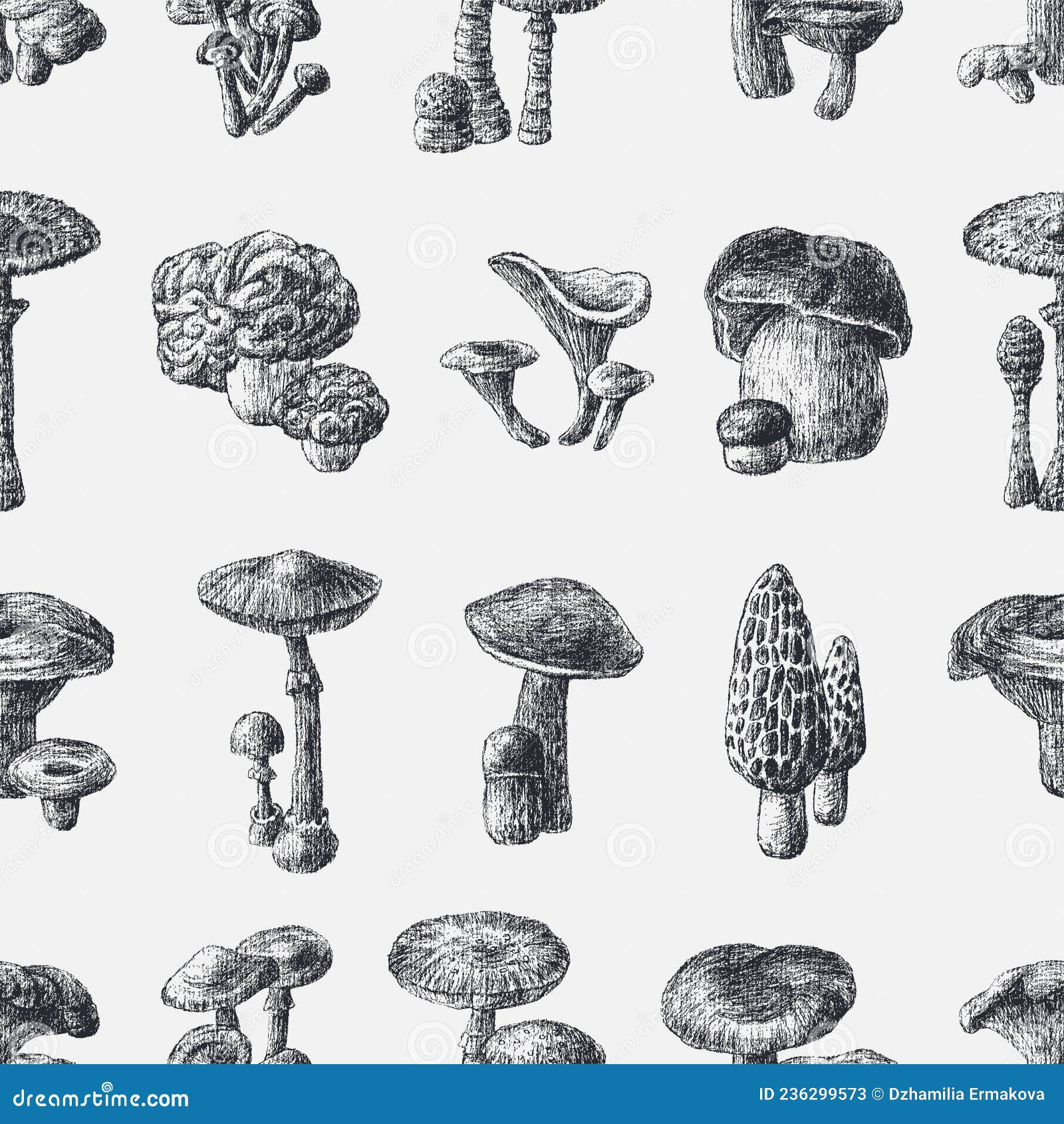 Seamless Pattern of Set Various Textured Drawings Edible and Poisonous ...