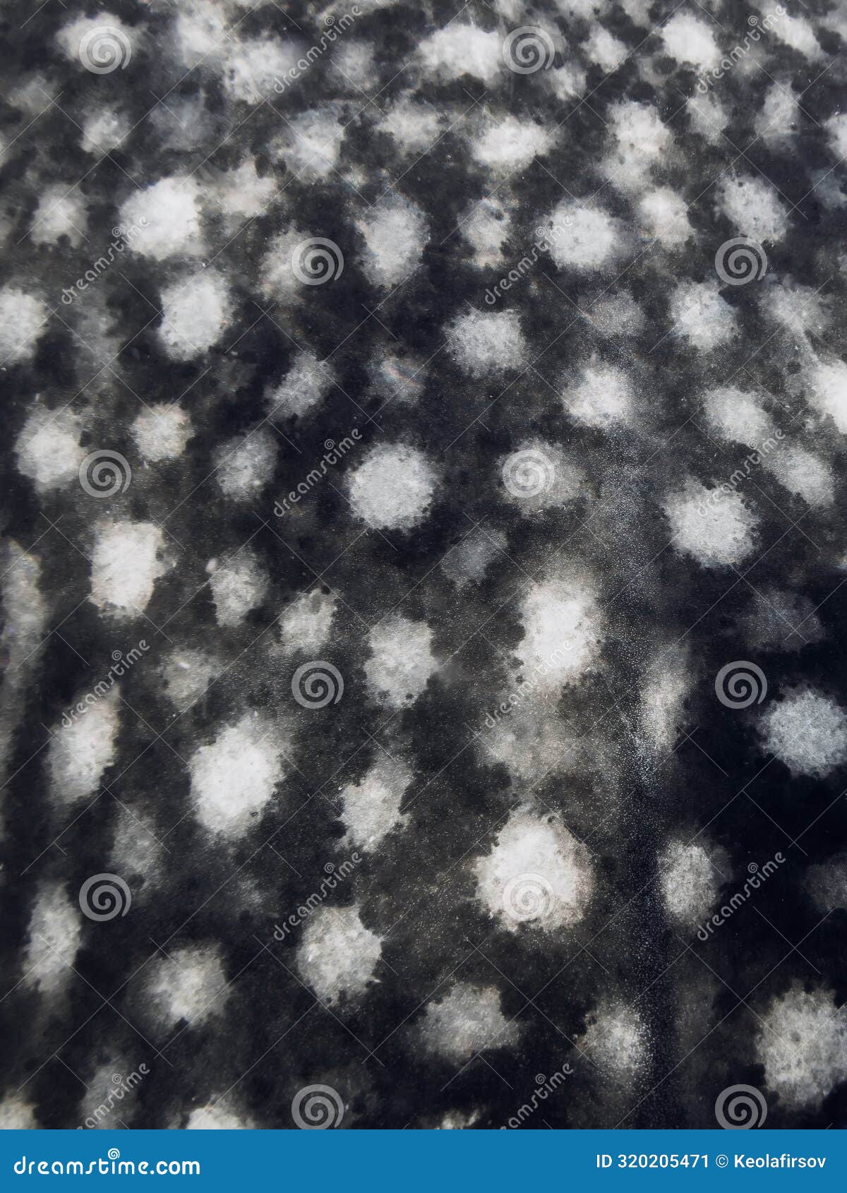 Pattern of Shark Skin. Spotted Whale Shark Skin Texture Stock Image ...