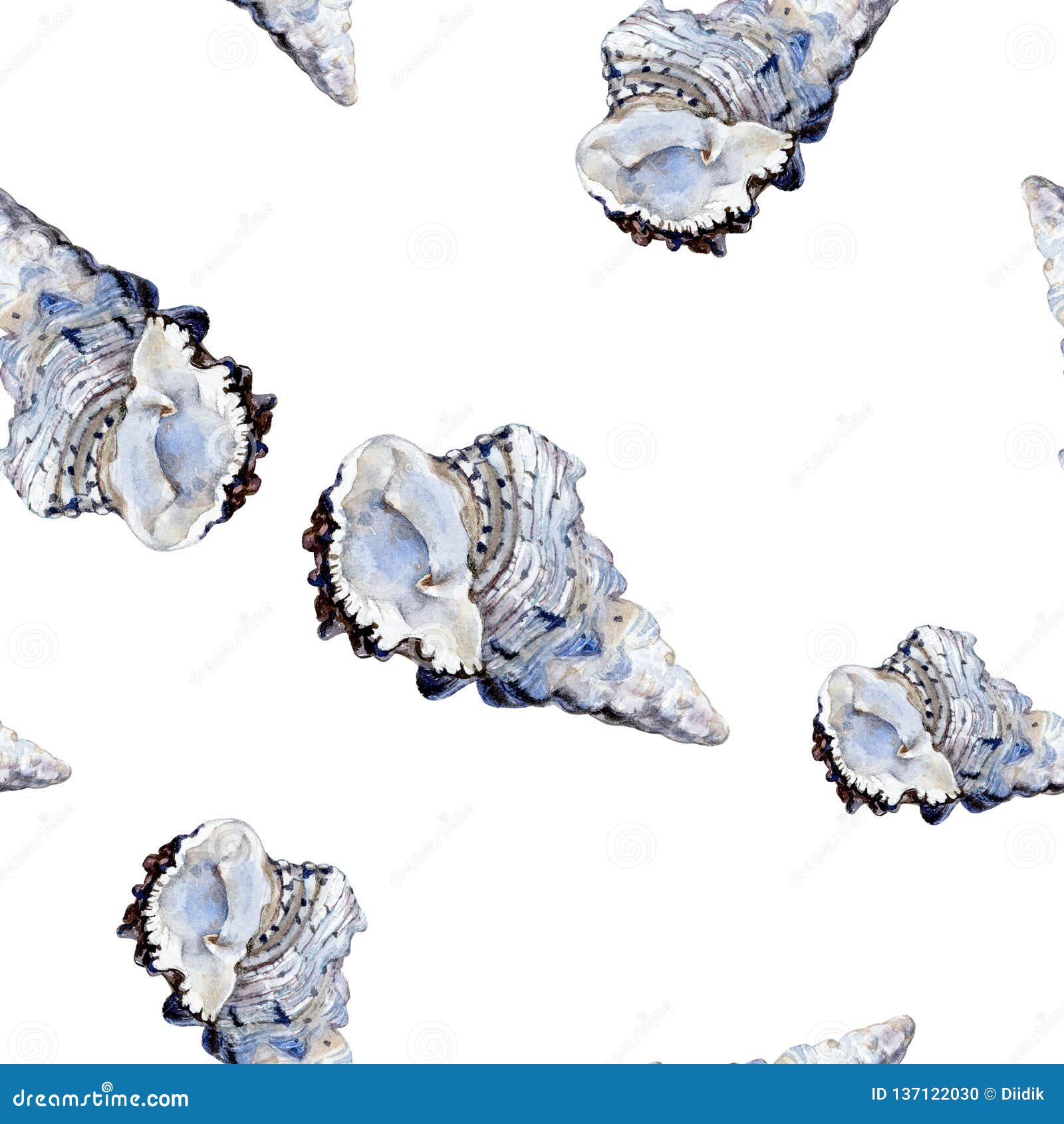 Watercolor Hand Drawn Shell Isolated Seamless Pattern. Stock ...