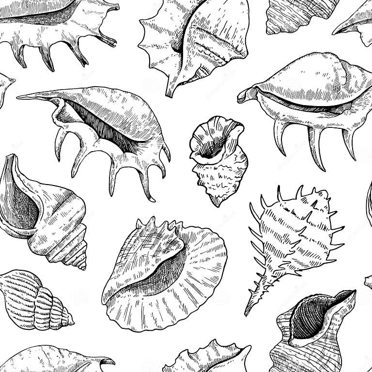 Seamless Pattern with Shells. Black and White Detailed Ink ...