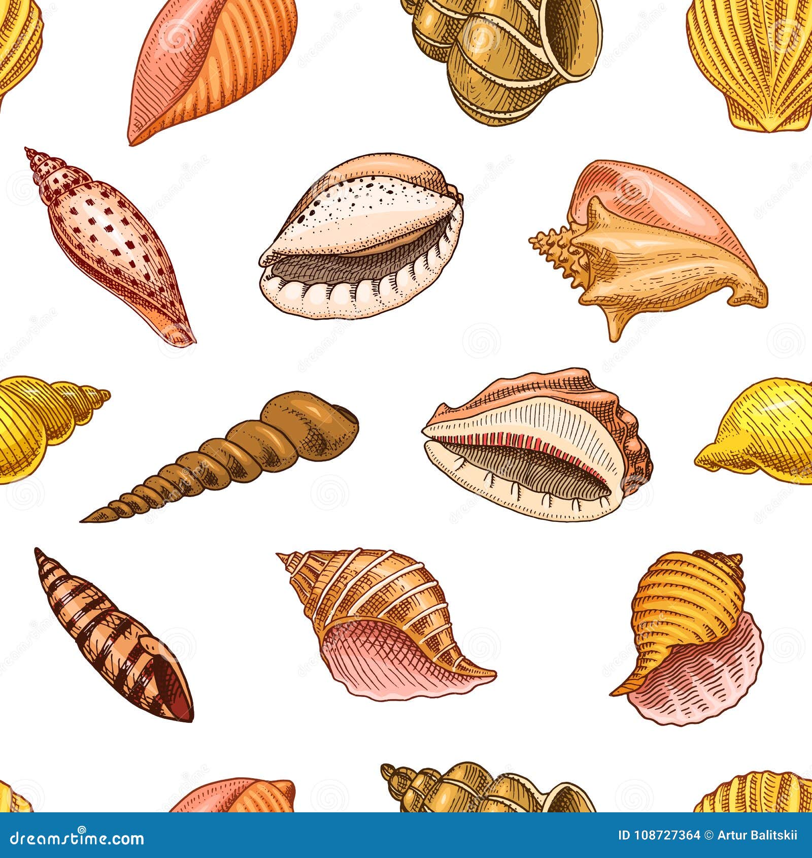 Seamless Pattern Shells or Mollusca Different Forms. Sea Creature Stock ...