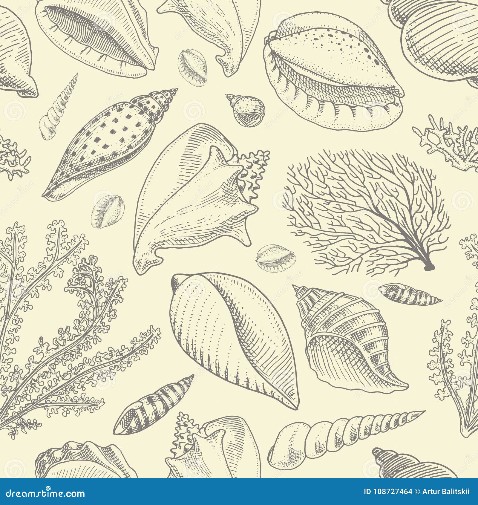 Seamless Pattern Shells, Seaweed and Mollusca Different Forms. Sea ...