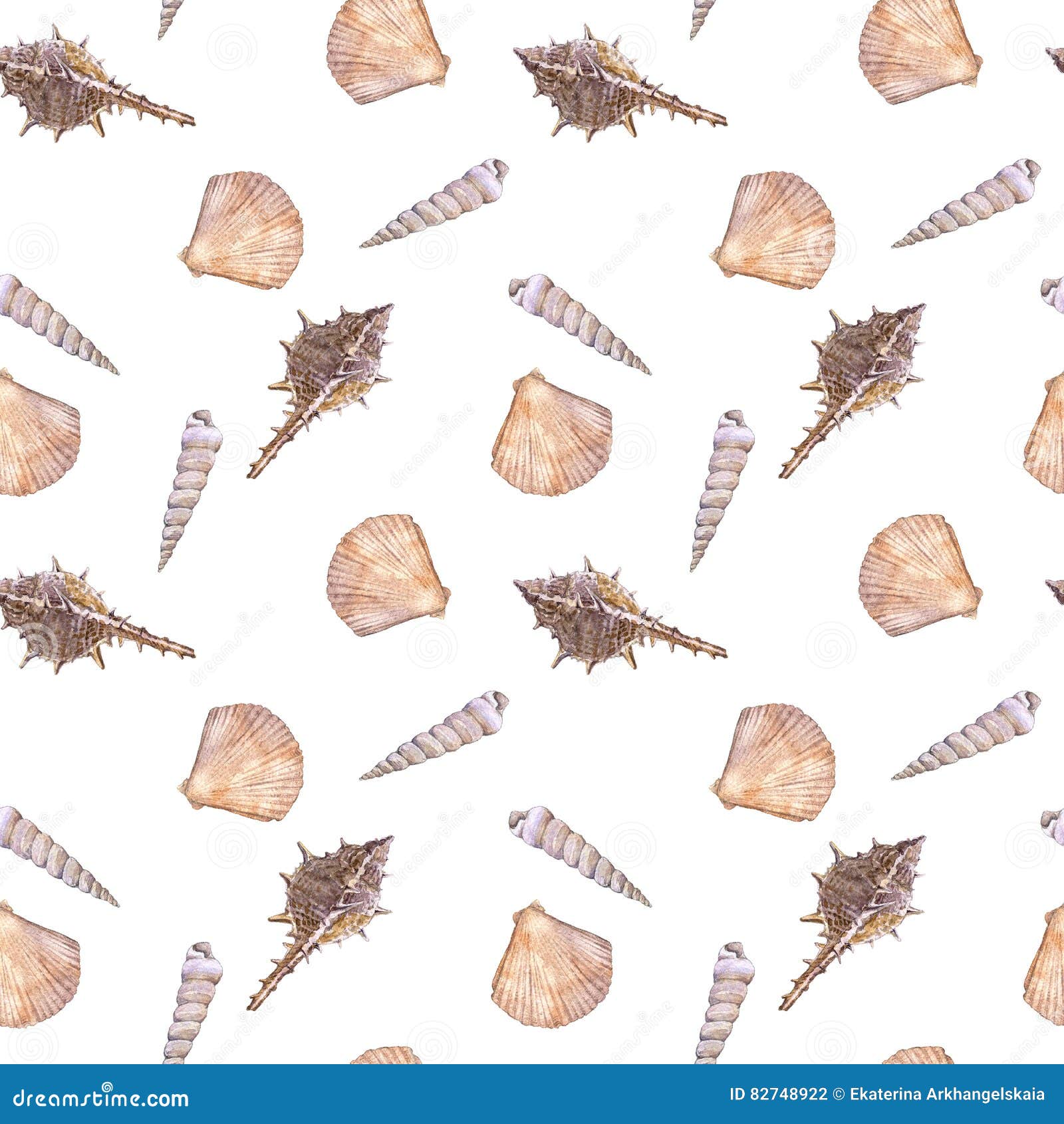 Seamless Pattern with Shells Stock Illustration - Illustration of decor ...