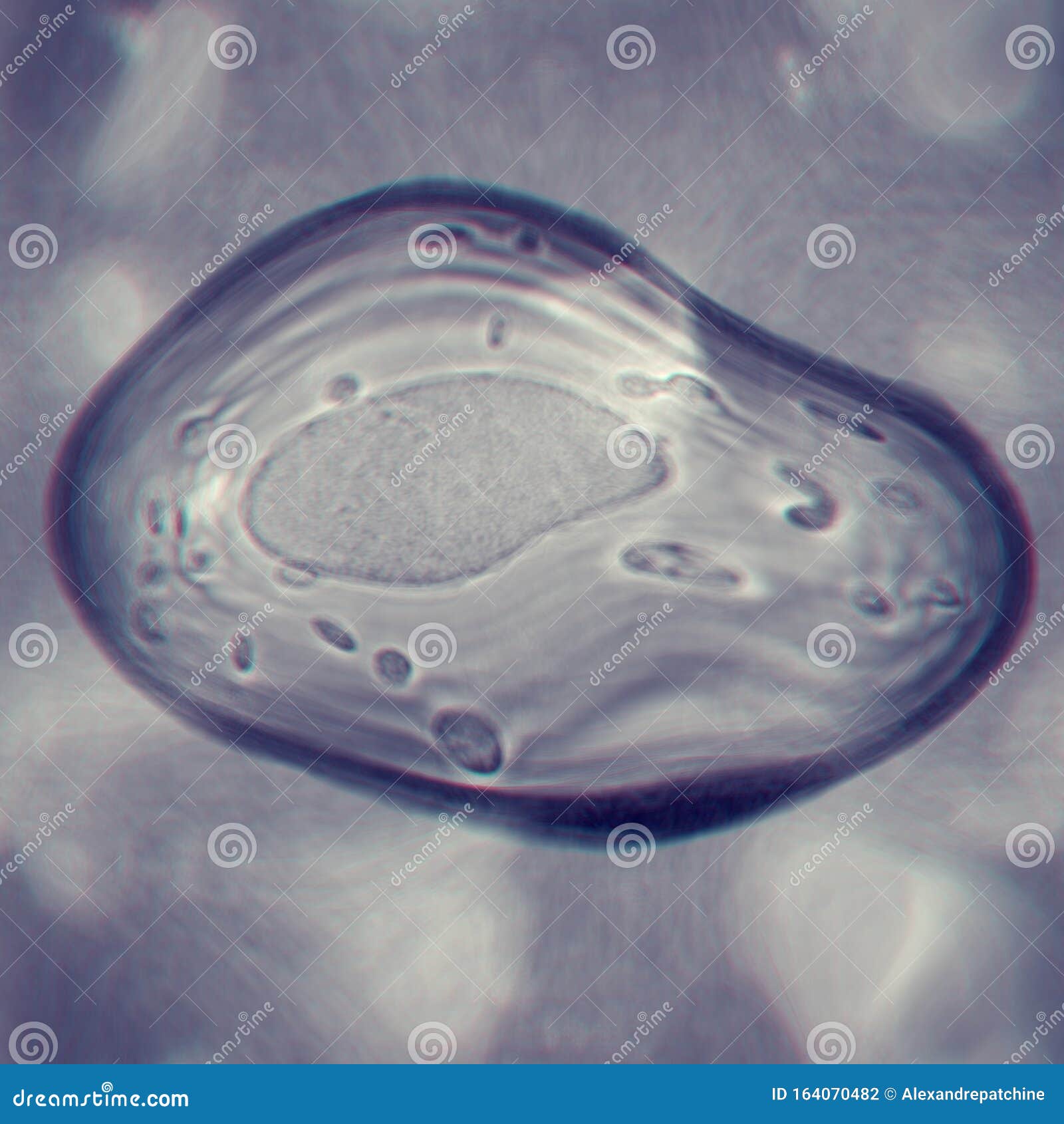 Seamless Pattern With Single Cell Microorganism Or Microbiome On ...