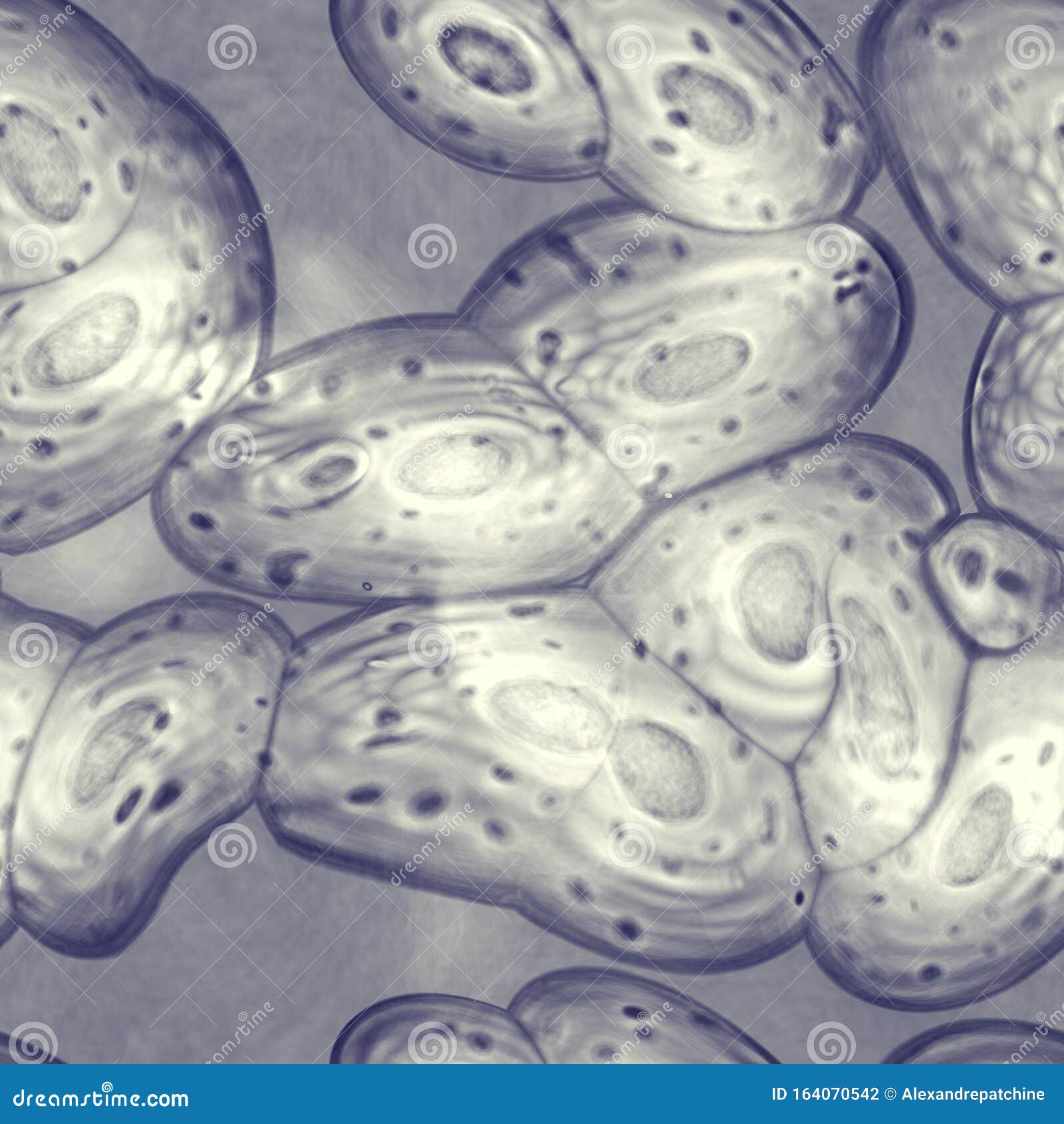 Seamless Pattern with Single Cell Microorganisms or Microbiomes on ...