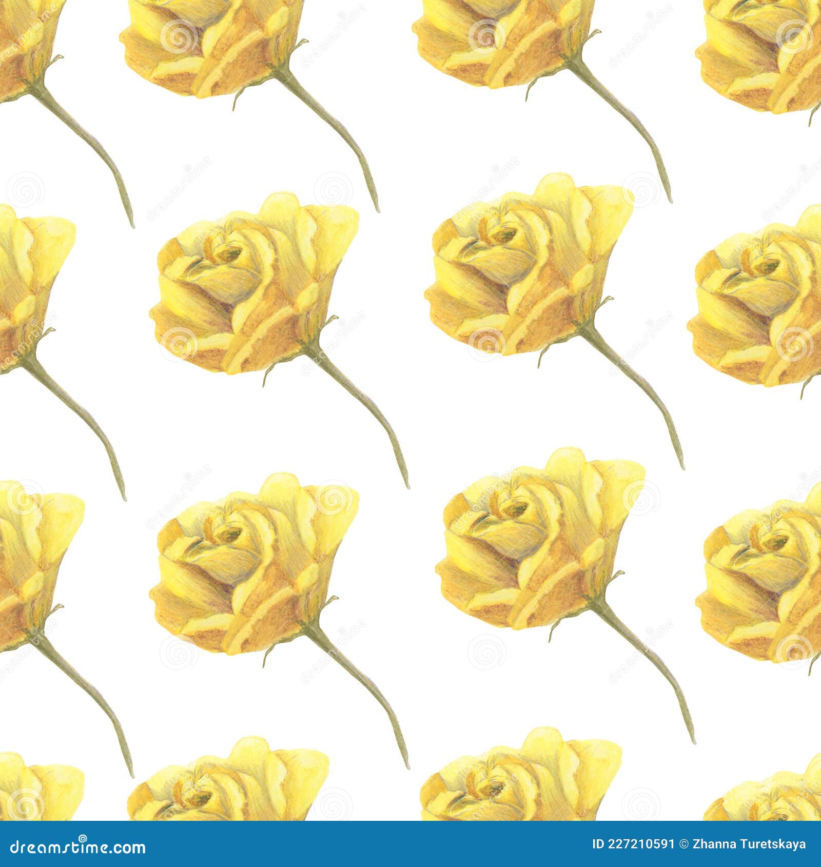 Seamless Pattern with Single Yellow Rose Cut Out on White Background ...