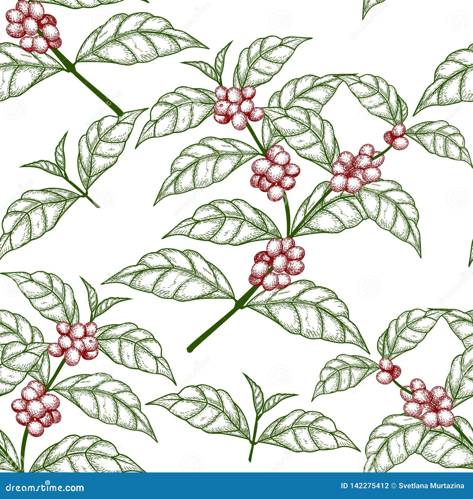 Seamless Pattern Sketch Coffee Tree Branch with Berries Stock Vector ...