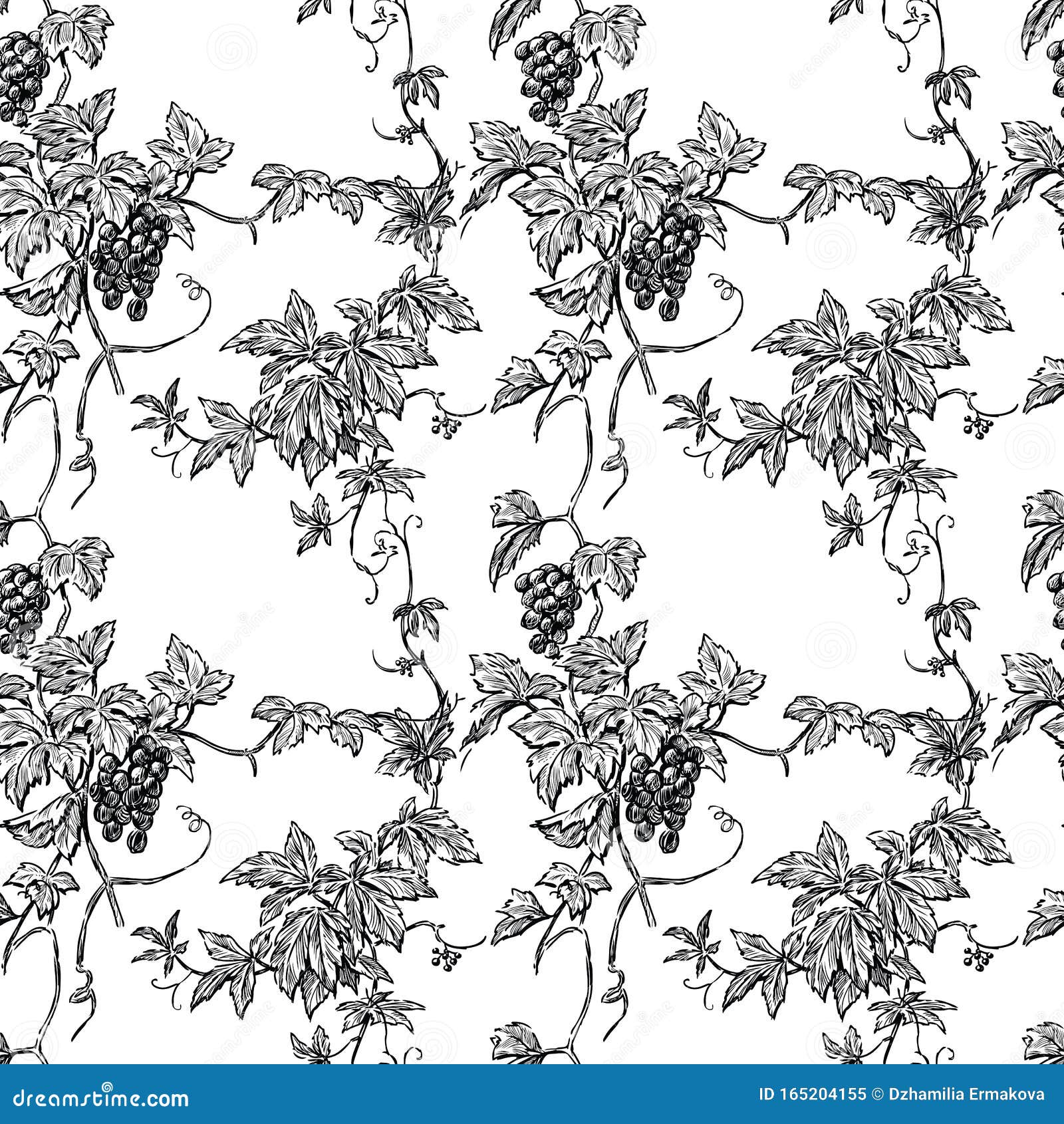 Vine And Branches Cartoon Vector | CartoonDealer.com #149203705