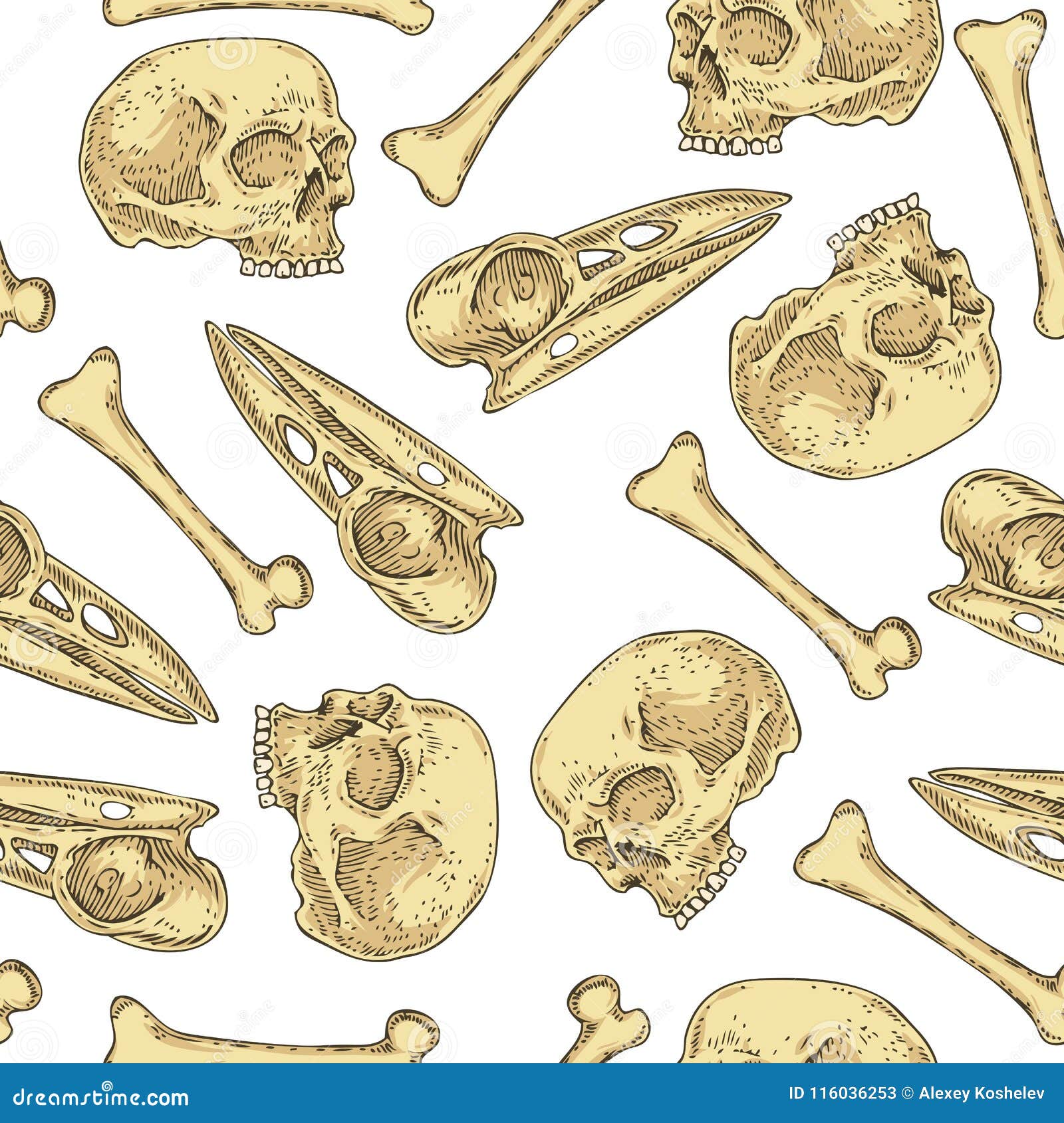 Seamless Pattern with Skulls and Bones Stock Illustration ...