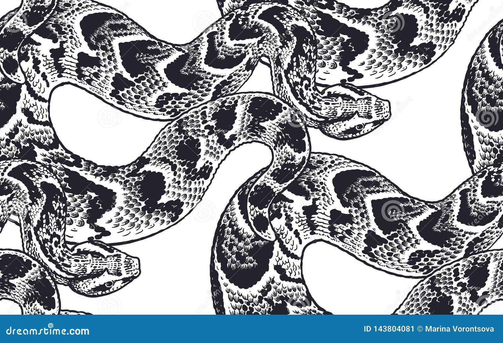 Seamless Pattern with Snakes. Black and White Stock Vector ...