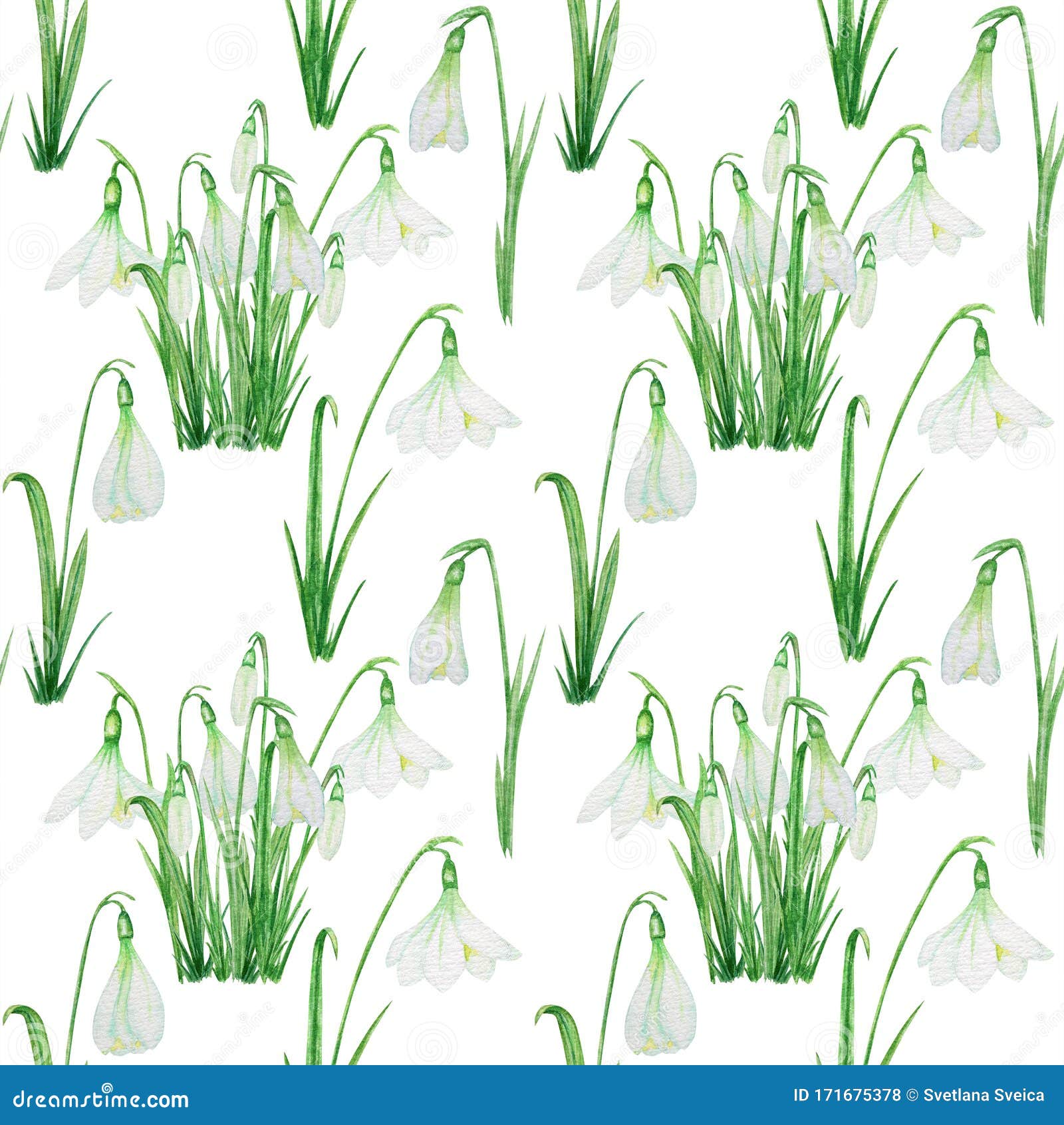 Seamless Pattern with Snowdrop Spring Easter Flowers with Green Leafs ...