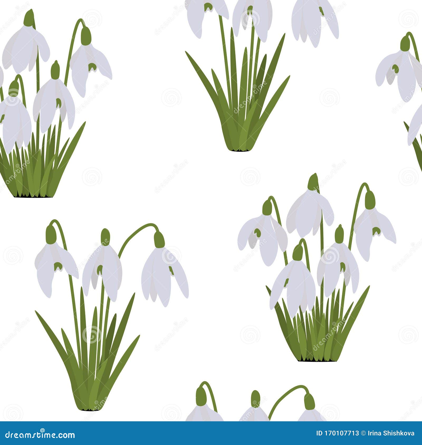Seamless Pattern Snowdrops Vector Spring Flowers Illustration Stock ...