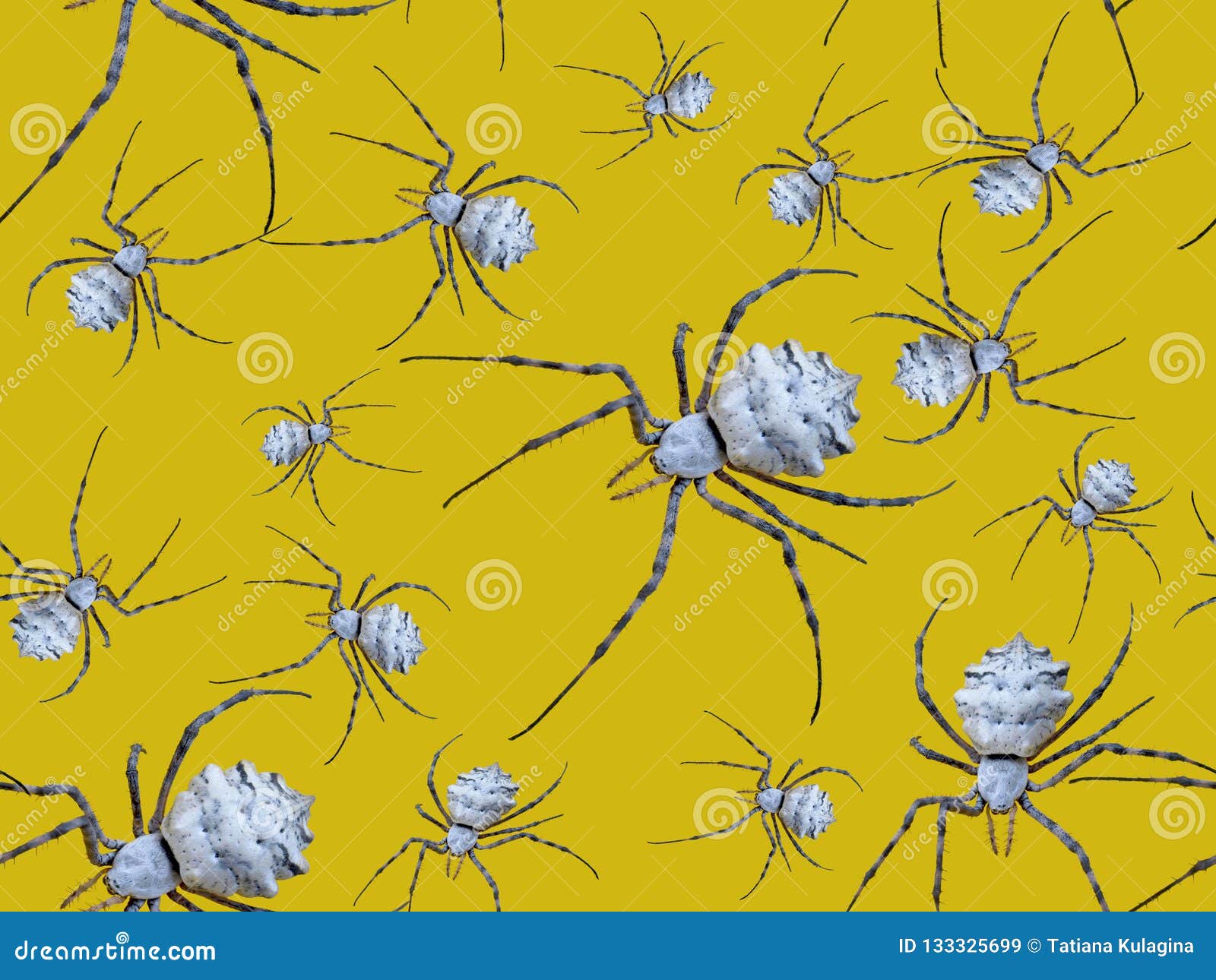 Seamless Pattern with Spiders. Stock Illustration - Illustration of ...