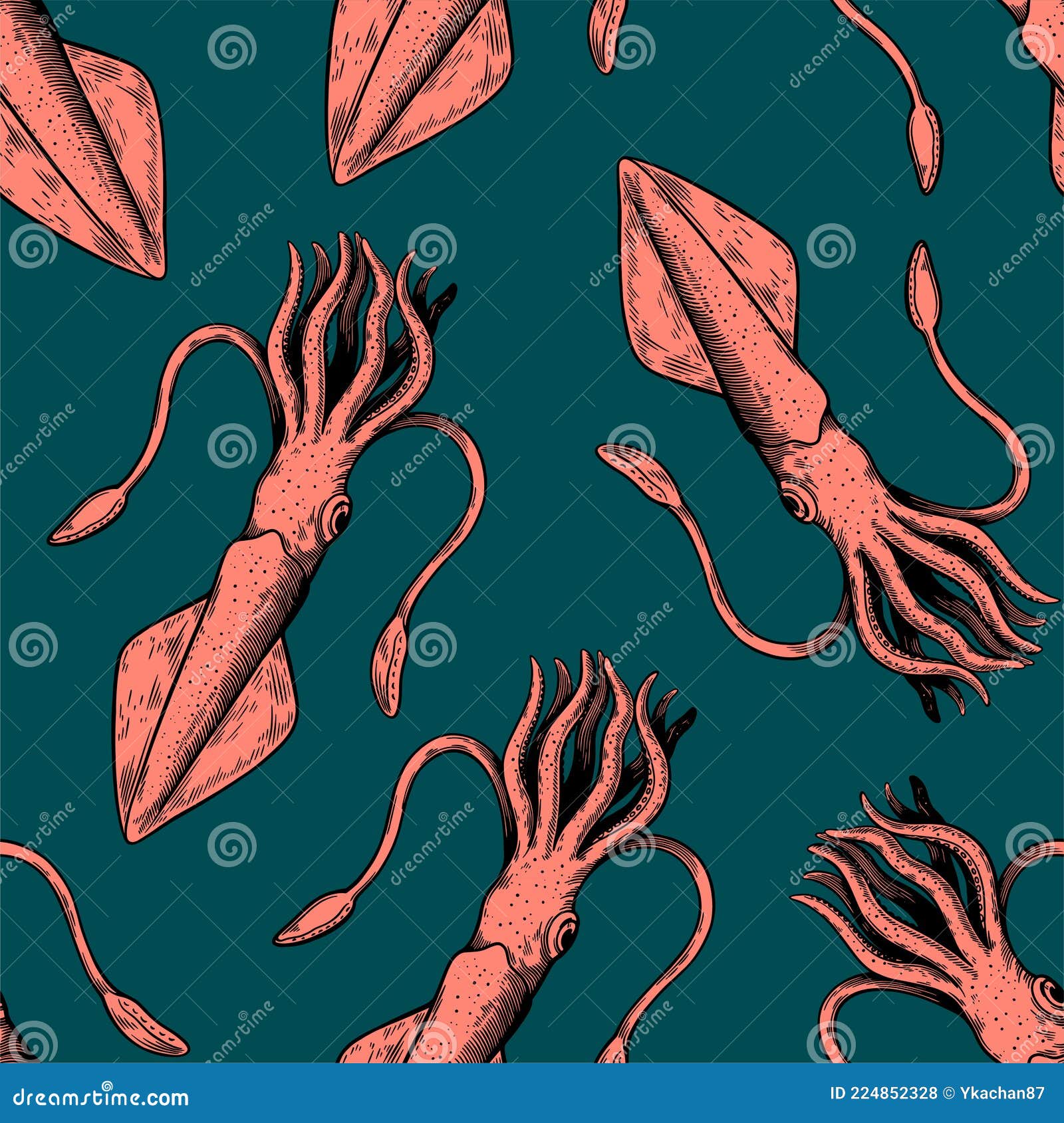 Seamless Pattern with Squid Mollusks. Illustration in Vintage Line Art ...