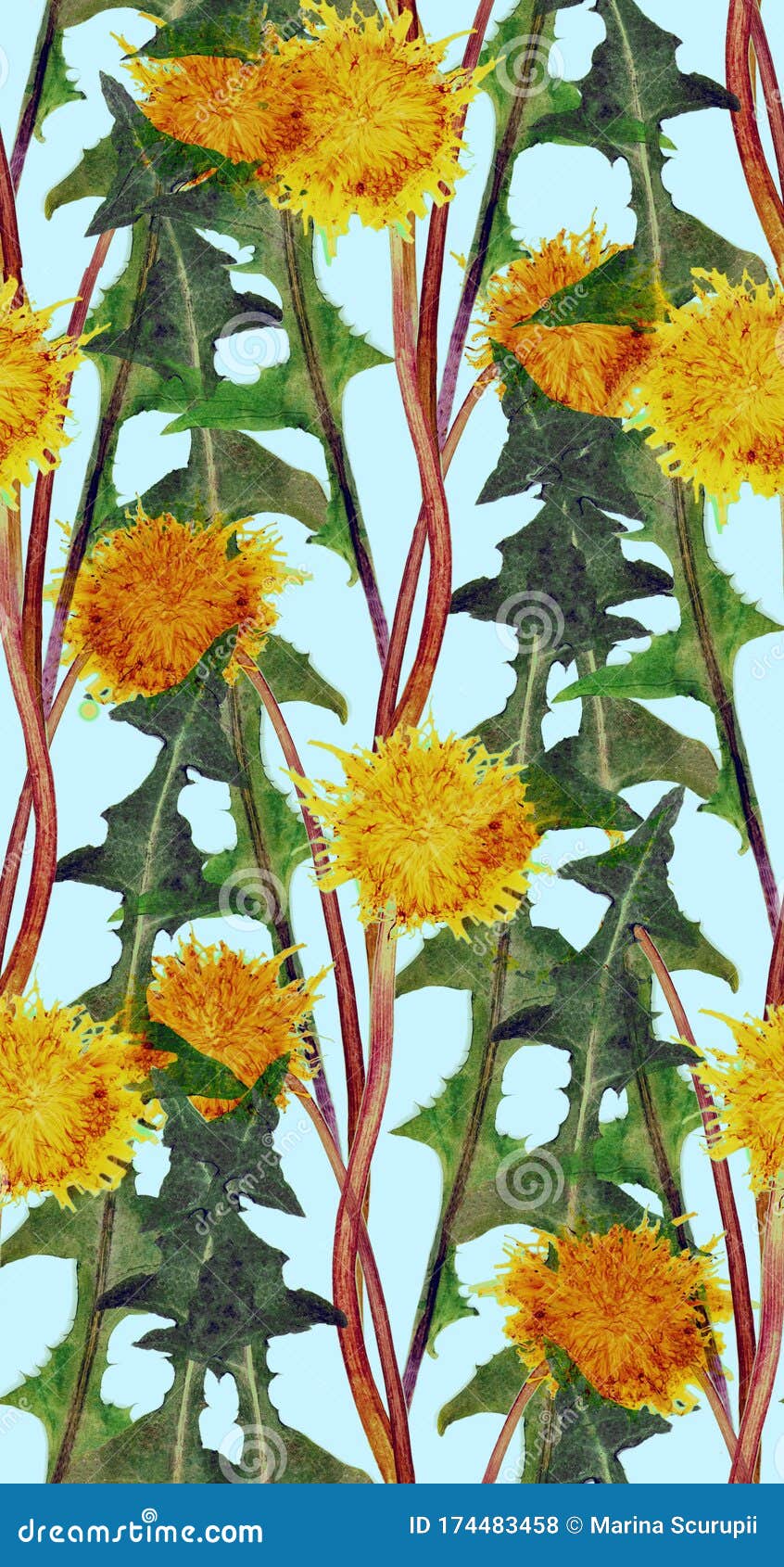 Retro Dandelion Silhouette White Background Stock Photos - Free ...