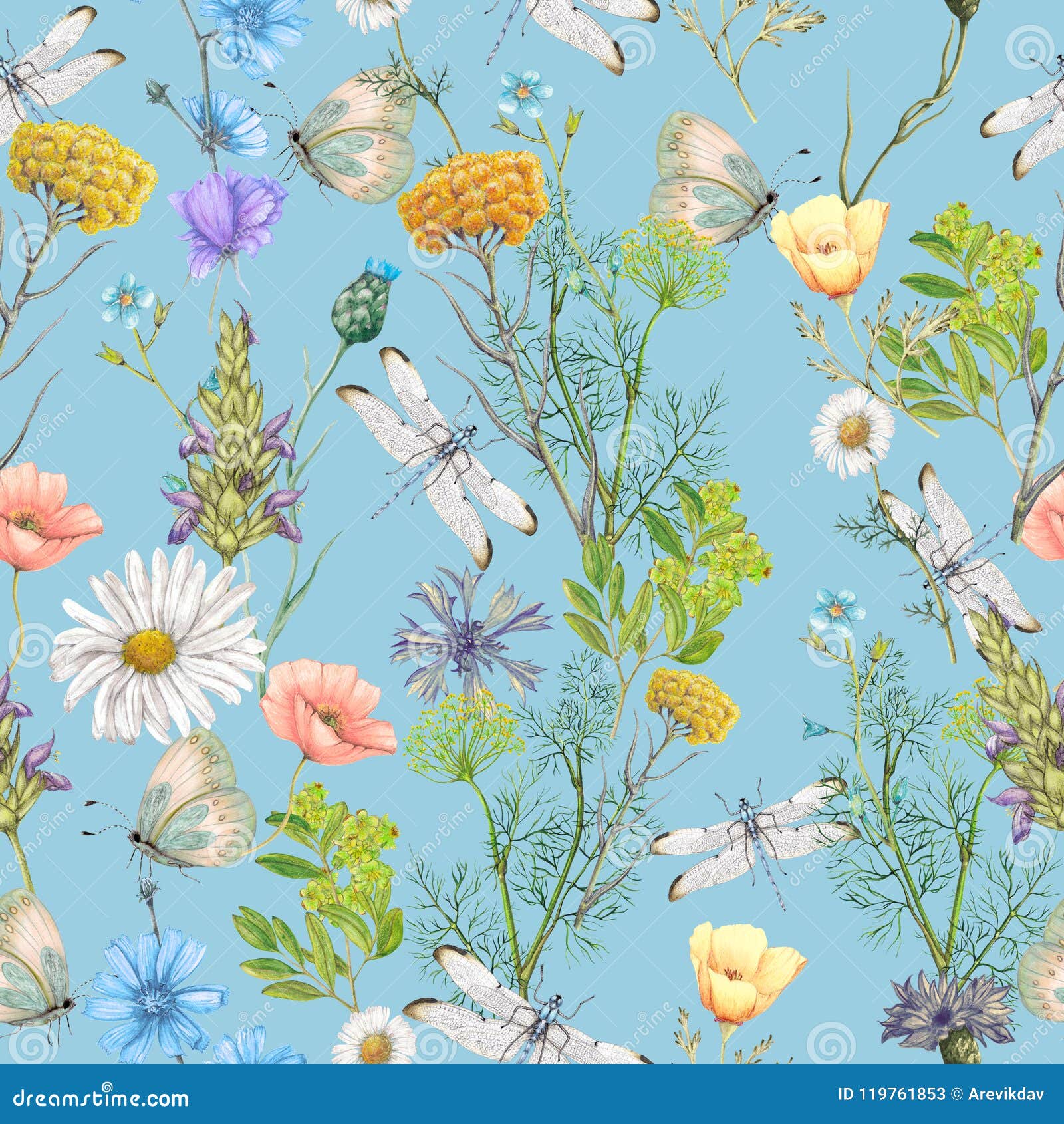 Seamless Pattern of Summer Wildflowers Stock Image - Image of botanical ...