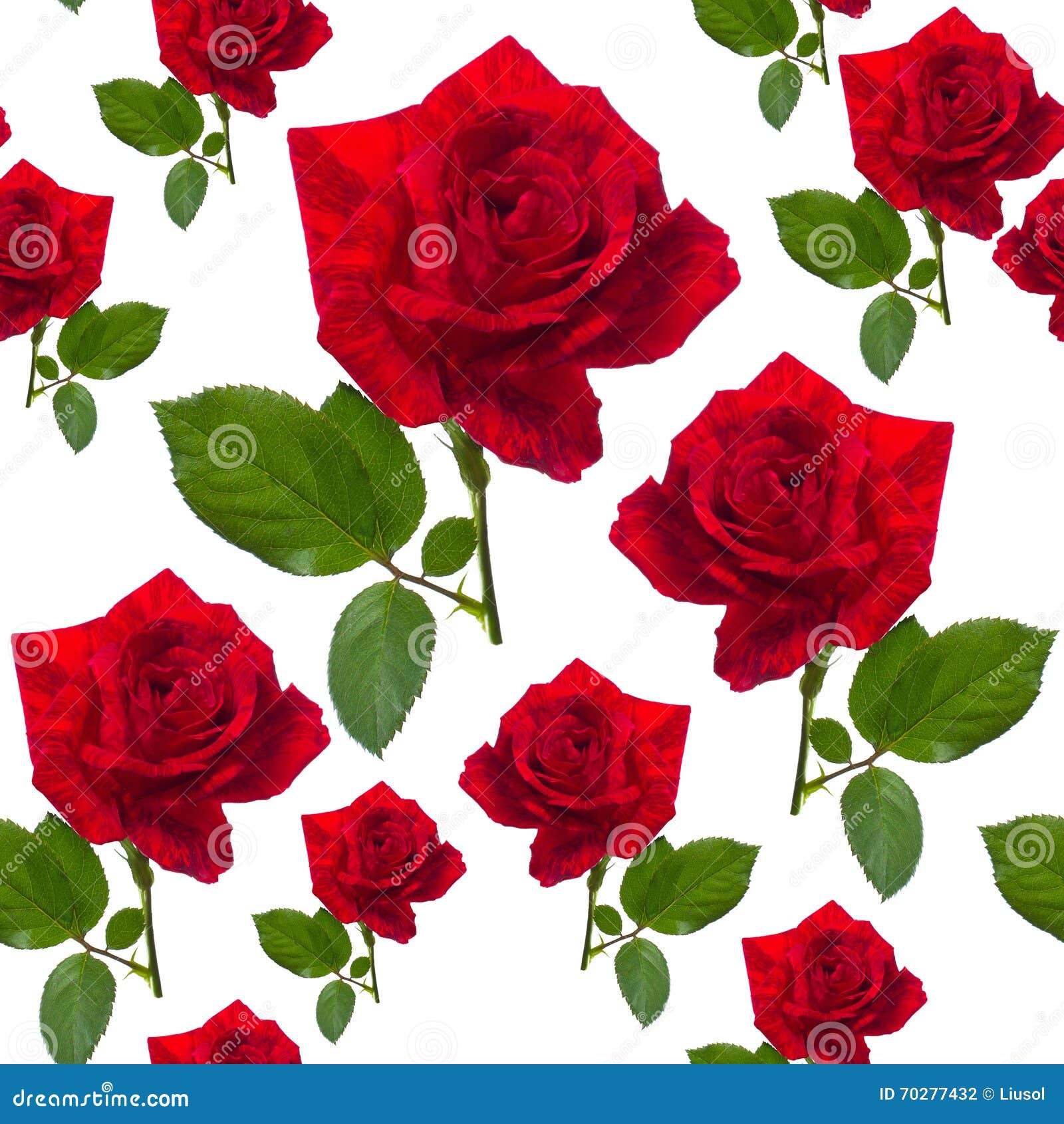 Seamless Pattern Summertime Repeat Red Rose Stock Photo - Image of ...