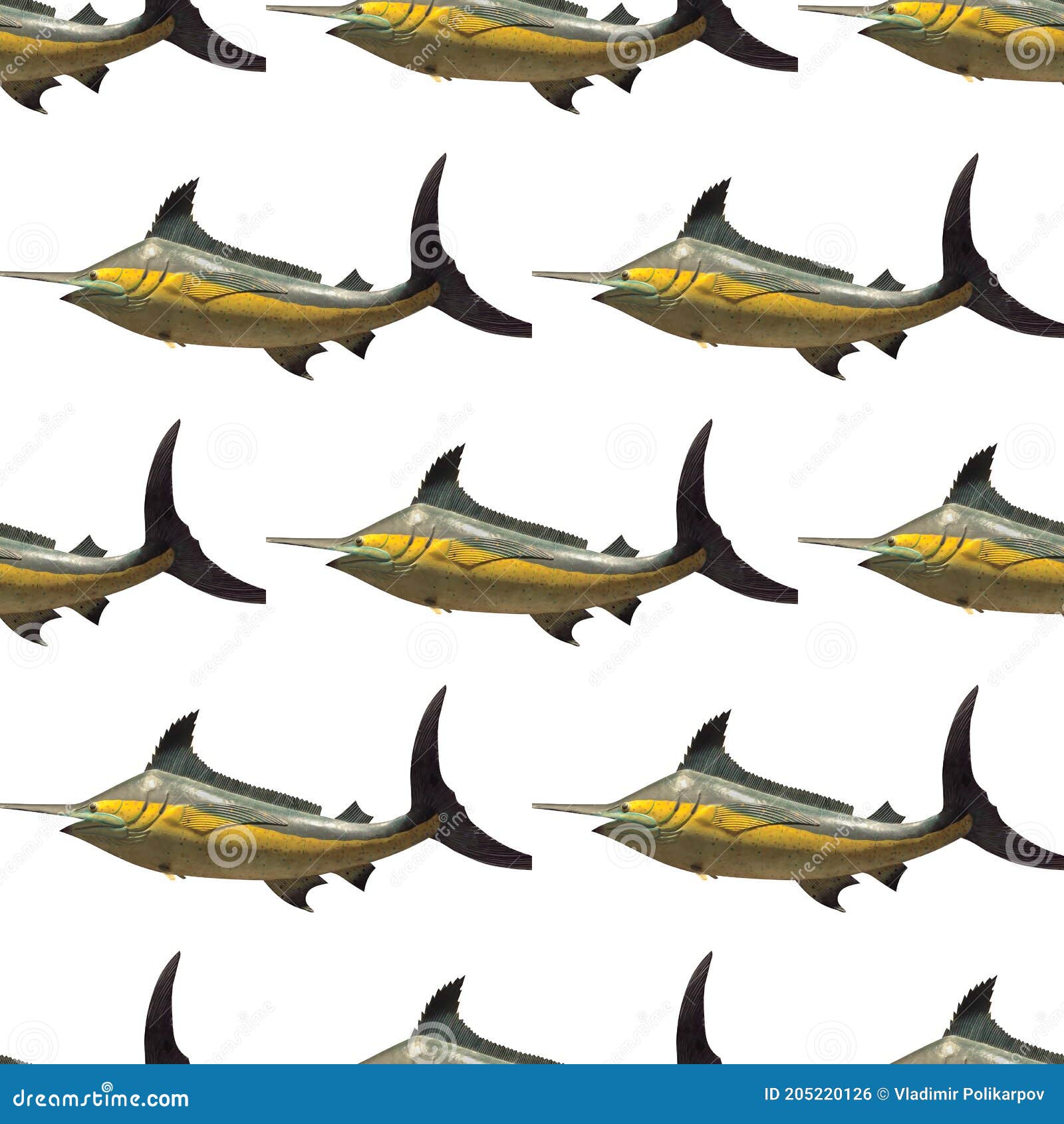 Seamless Pattern of Sword Fish Isolated on White Background Stock Photo ...