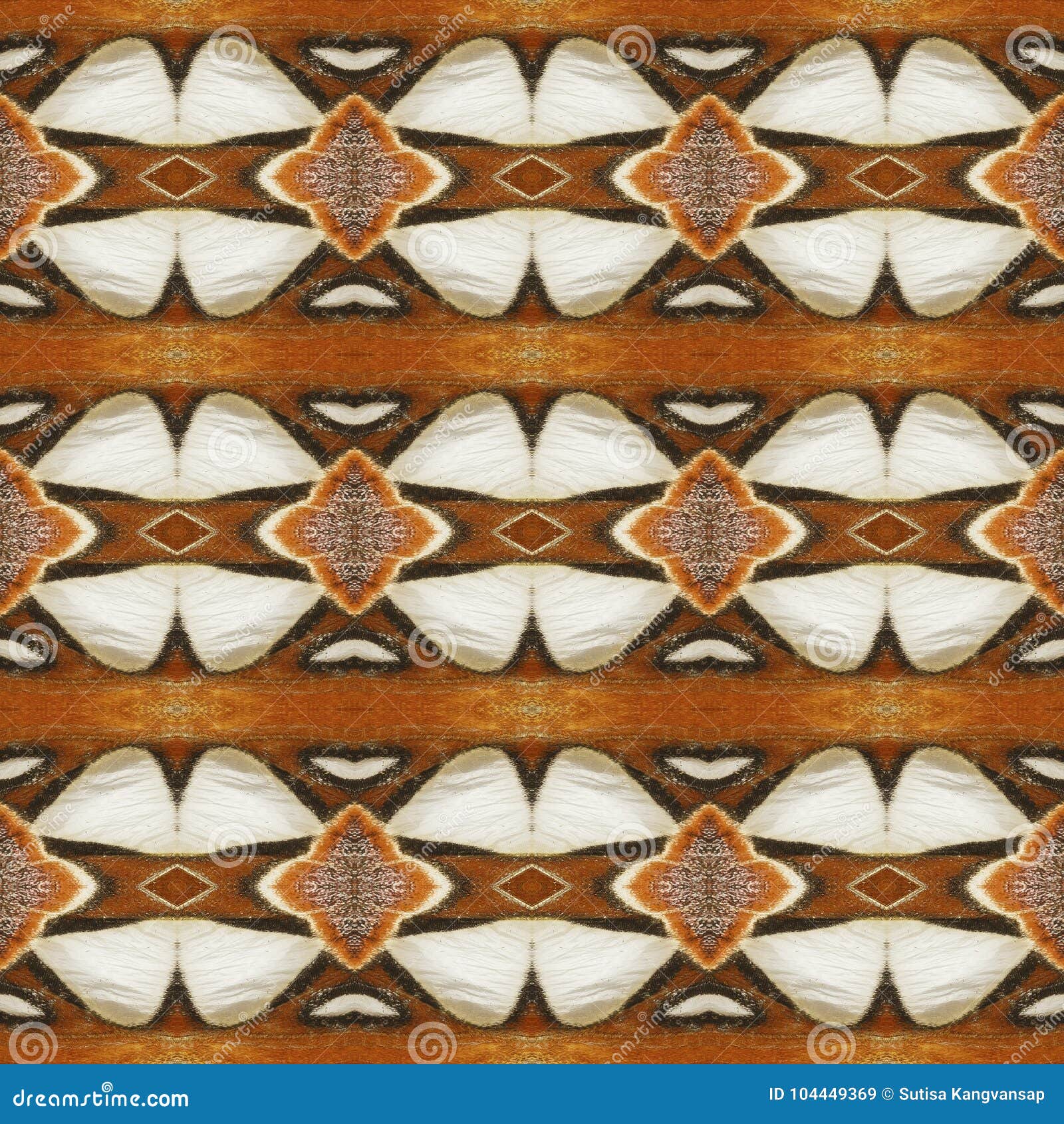 Pattern Texture of Atlas Silk Butterfly Wing for Background Stock Image ...