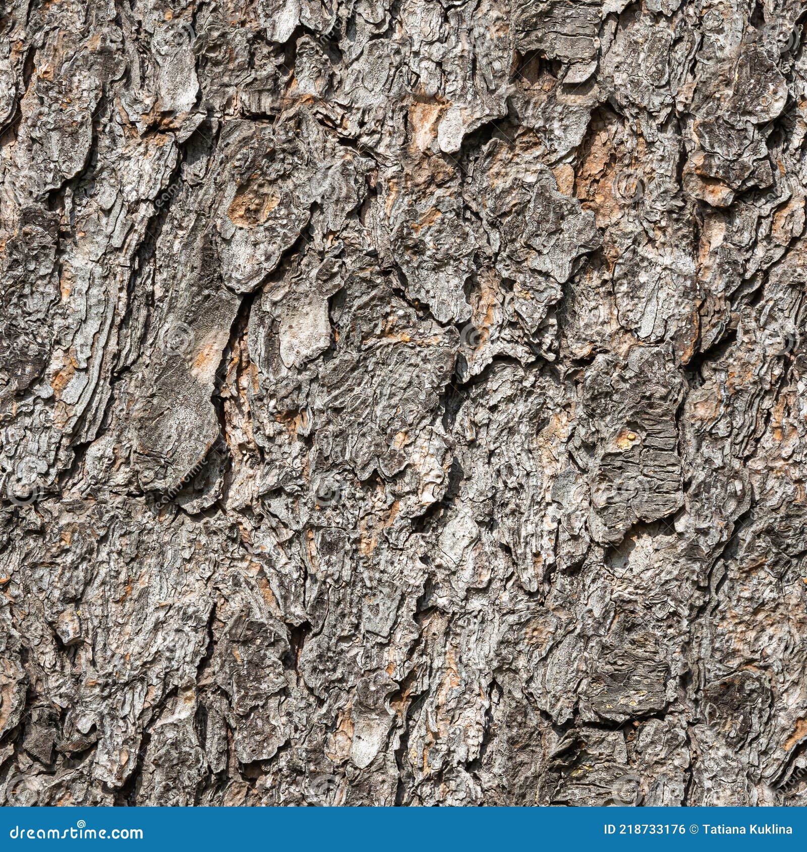 Seamless Pattern of Texture of Brown Bark of Old Tree with Knots and ...