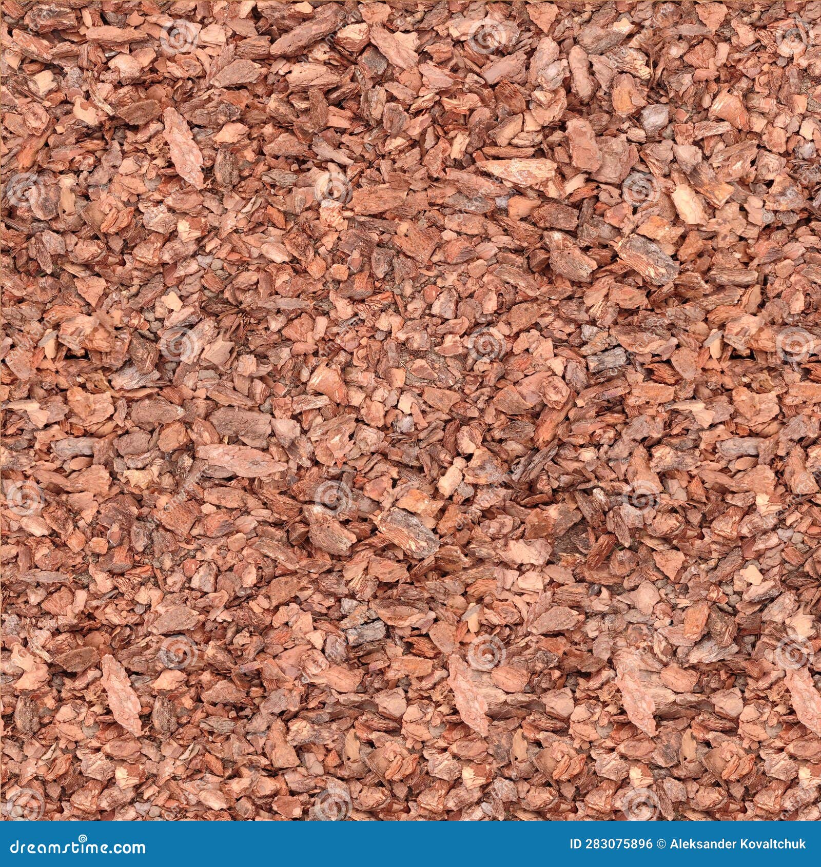 Seamless Pattern Texture of Natural Cortex Tree Shavings. Wooden Pieces ...