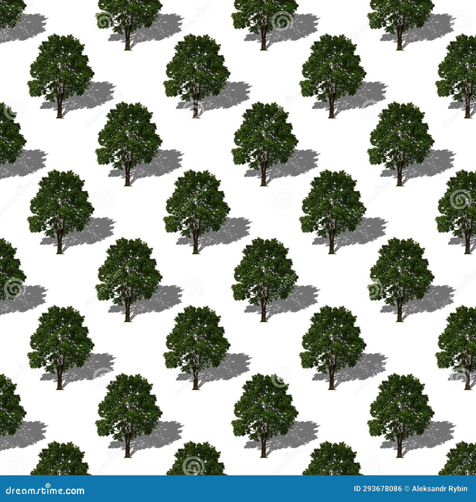 Seamless Pattern of Trees with Shade Isolated on a White Background ...
