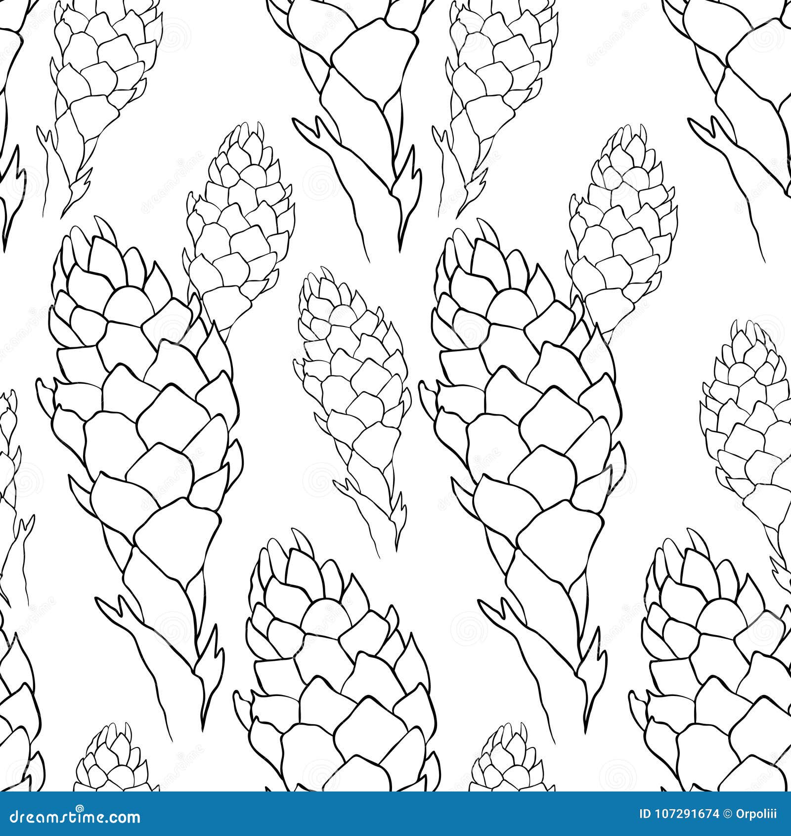 Seamless Pattern Tropical Flower of Ginger Coloring Torch. Vec Stock ...