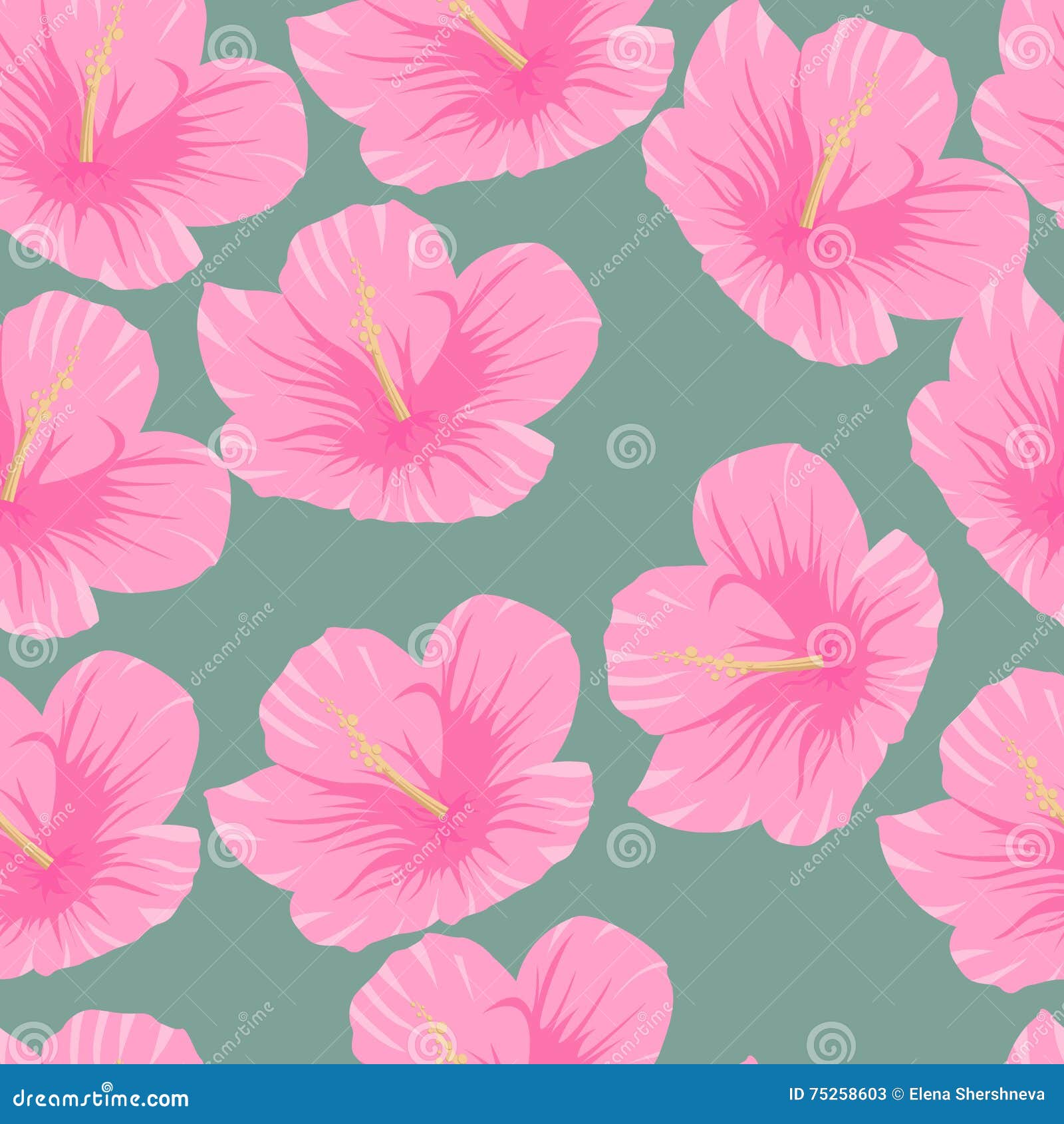 Seamless Pattern Of Tropical Pink Hibiscus Flowers Stock Illustration ...