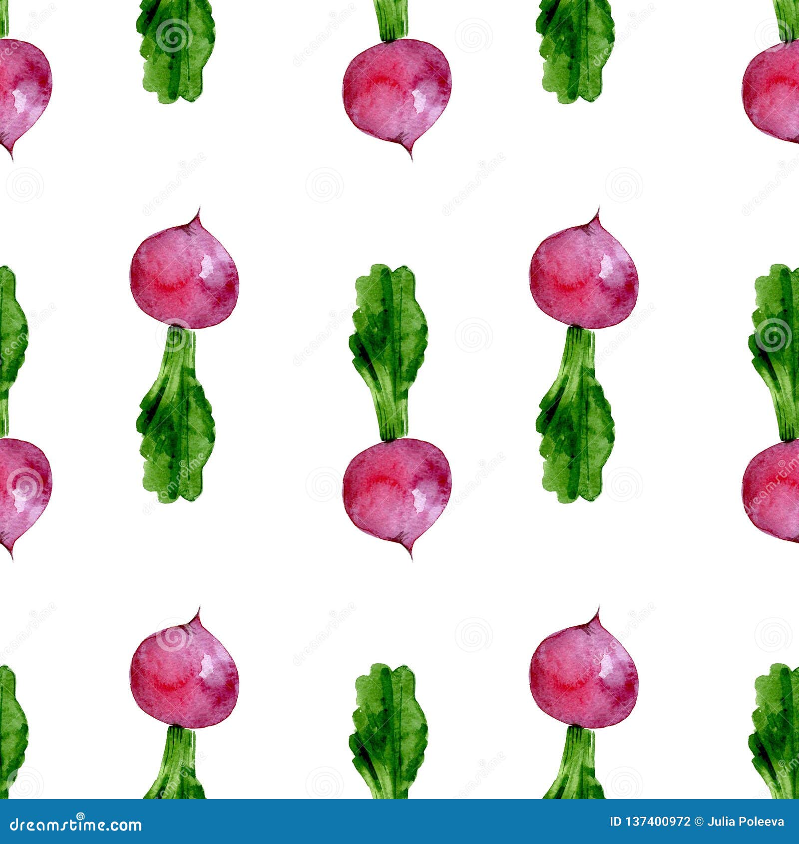 Seamless Pattern Of Watercolor Beets On White Background Stock ...