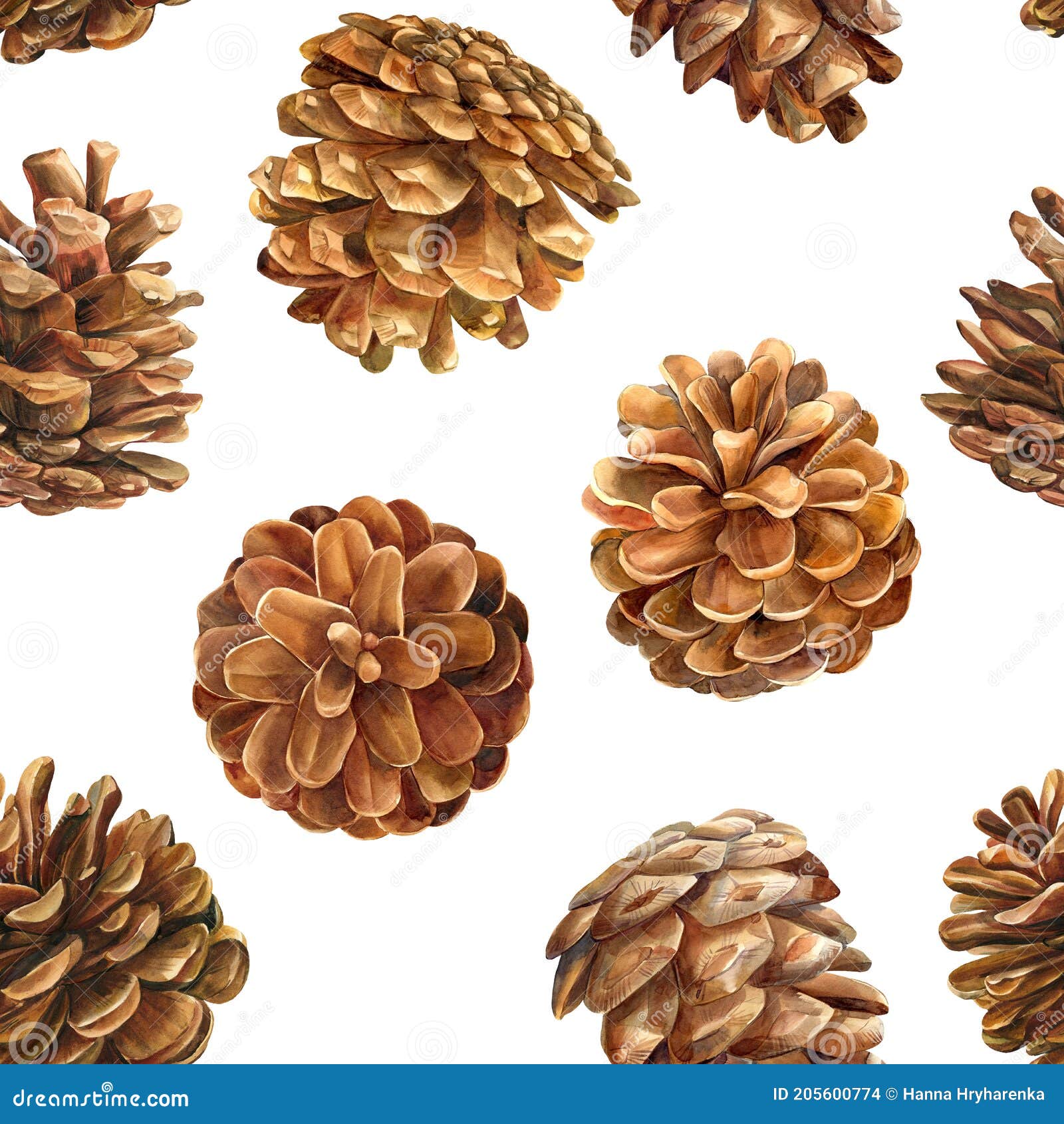 Seamless Pattern, Watercolor Drawing, Pine Cones Stock Illustration - Illustration of autumn ...