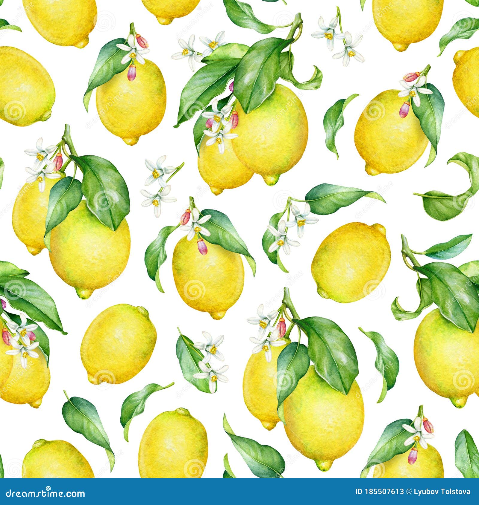 Watercolor Lemon Hand Painted Art Background Stock Photography ...