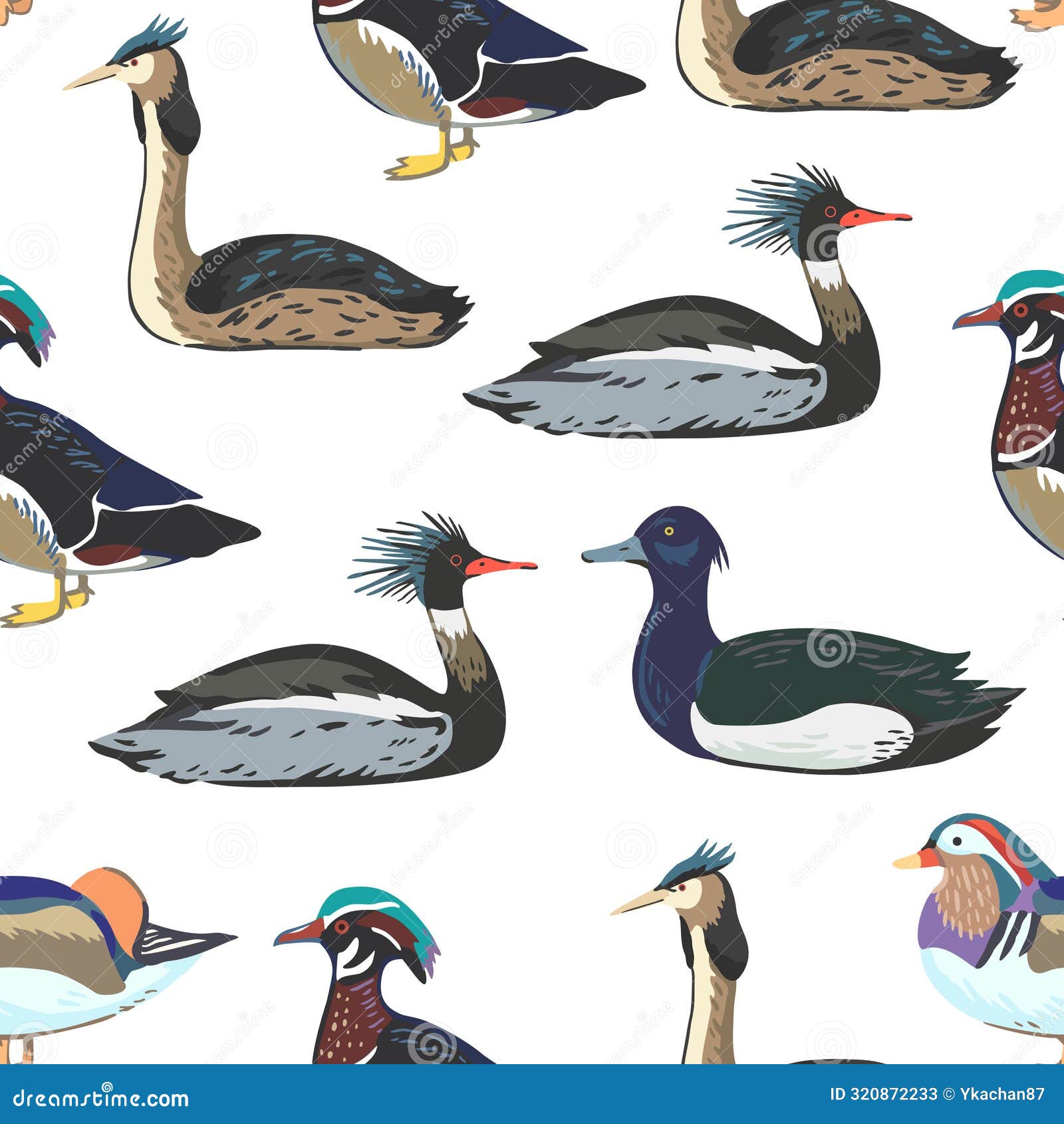 Seamless Pattern with Waterfowl, Different Types of Ducks and Grebe ...