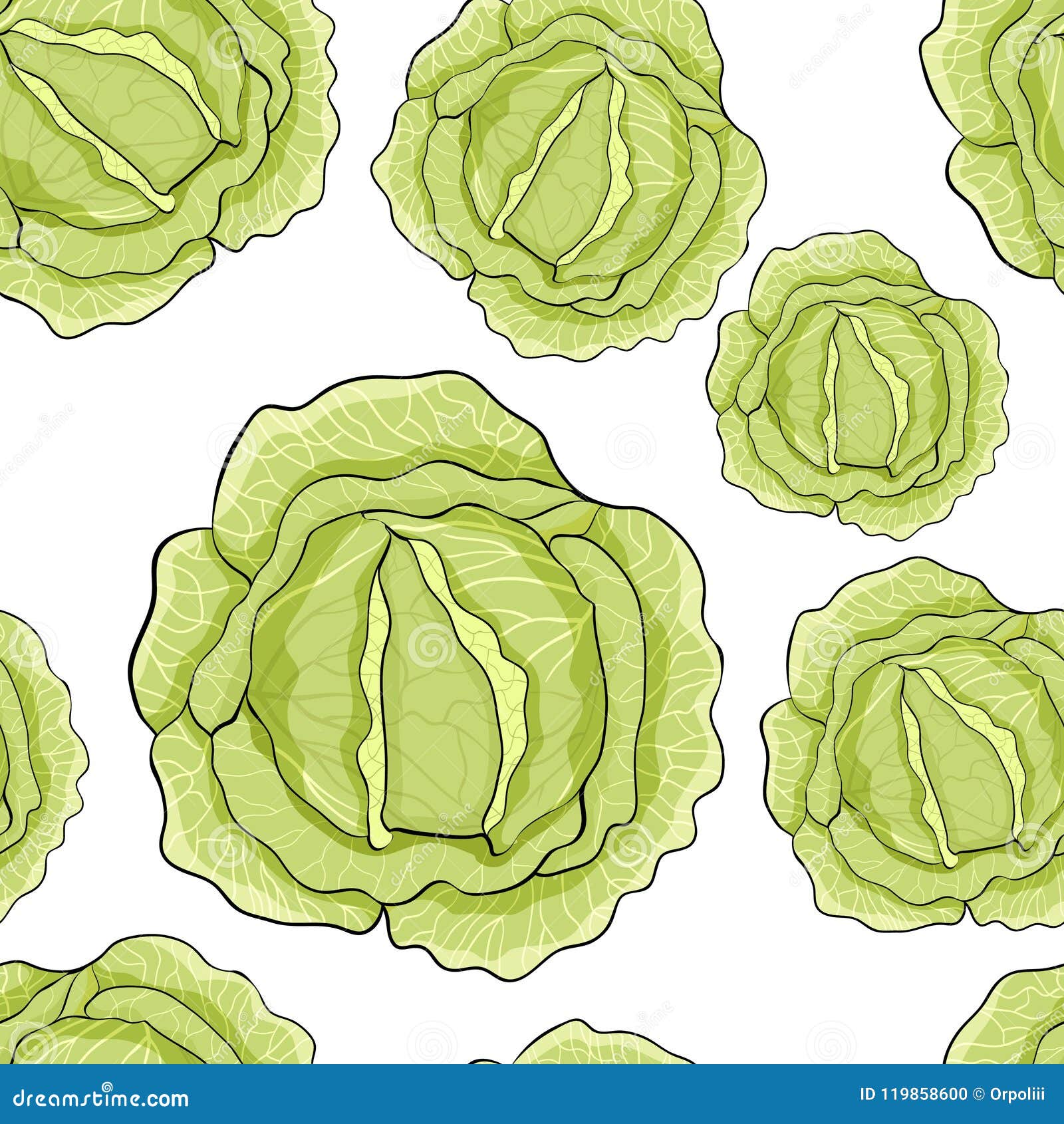 Seamless Pattern White Cabbage Ripe Vegetable. Vector Illustration ...