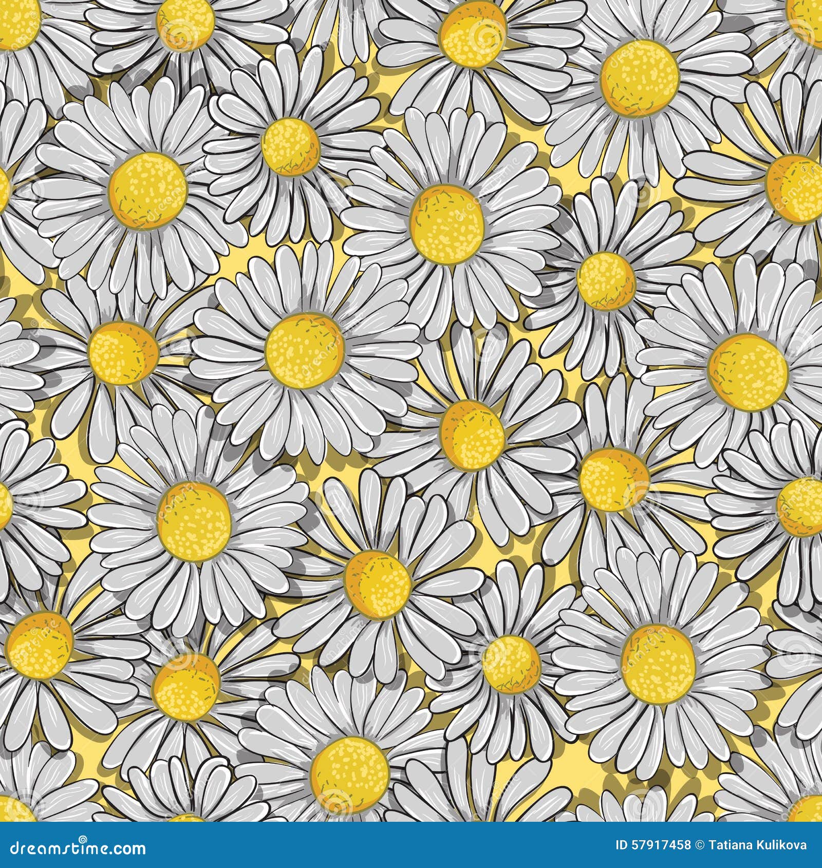 Seamless Pattern of White Daisy Stock Vector - Illustration of ...