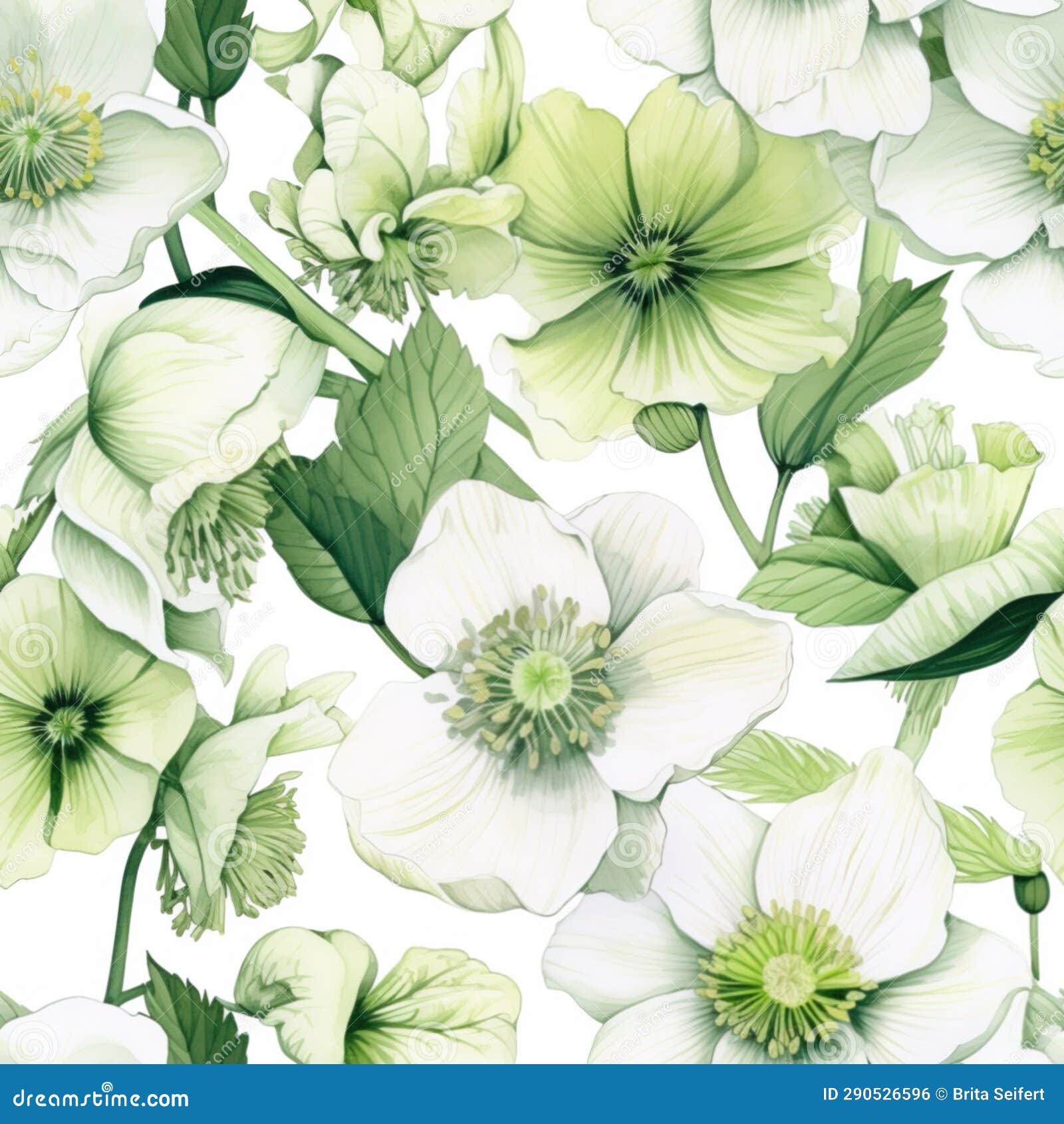Seamless Pattern with White Helleborus Flowers, Repeating Background ...